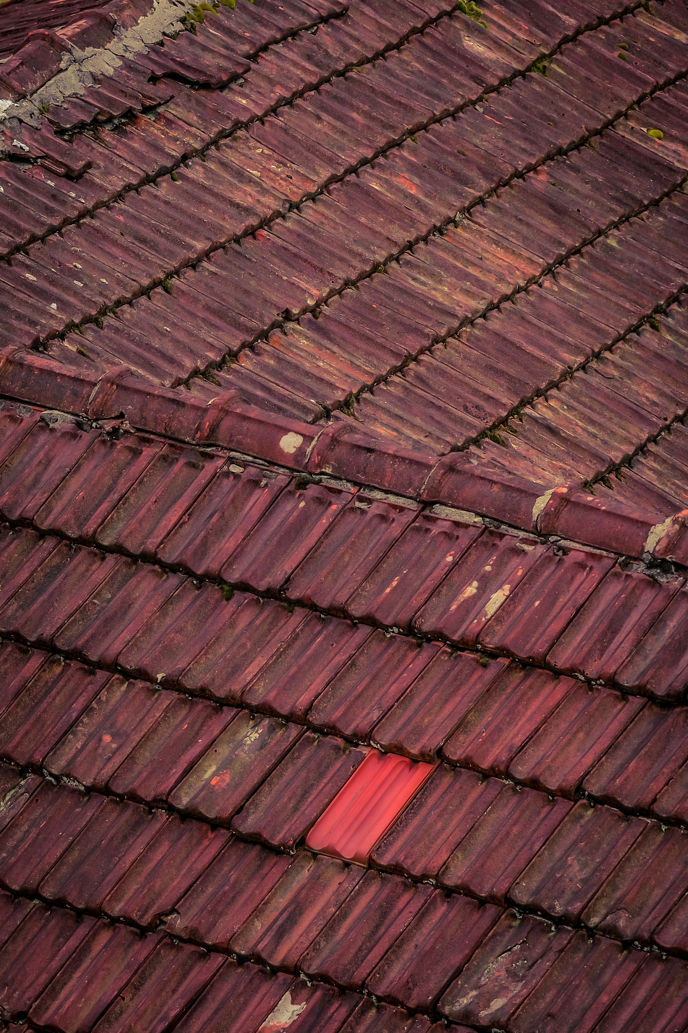 Rustic Red Roof Tiles with Weathered Texture · Free Stock Photo