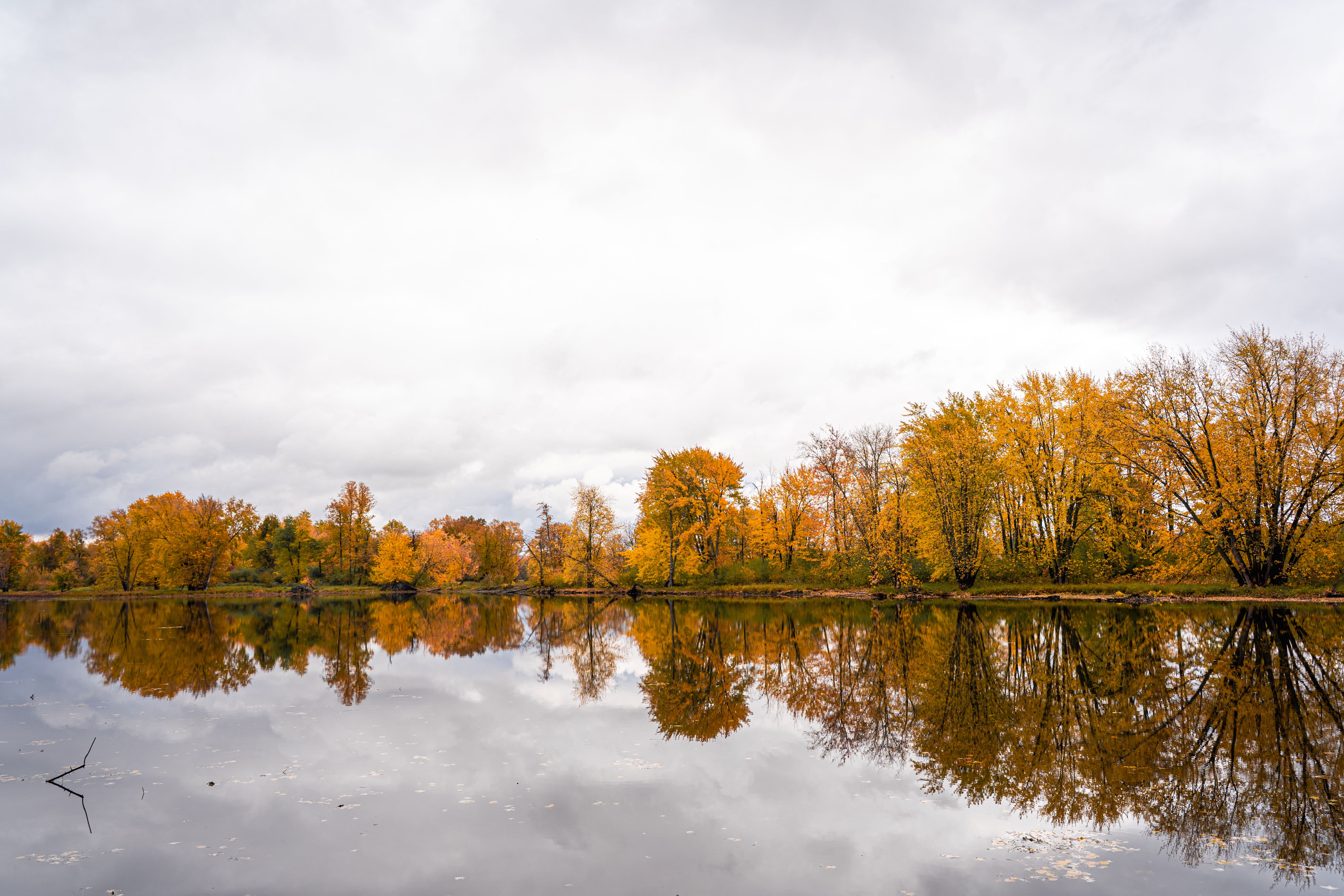 Water Spalsh Photos, Download The BEST Free Water Spalsh Stock Photos ...