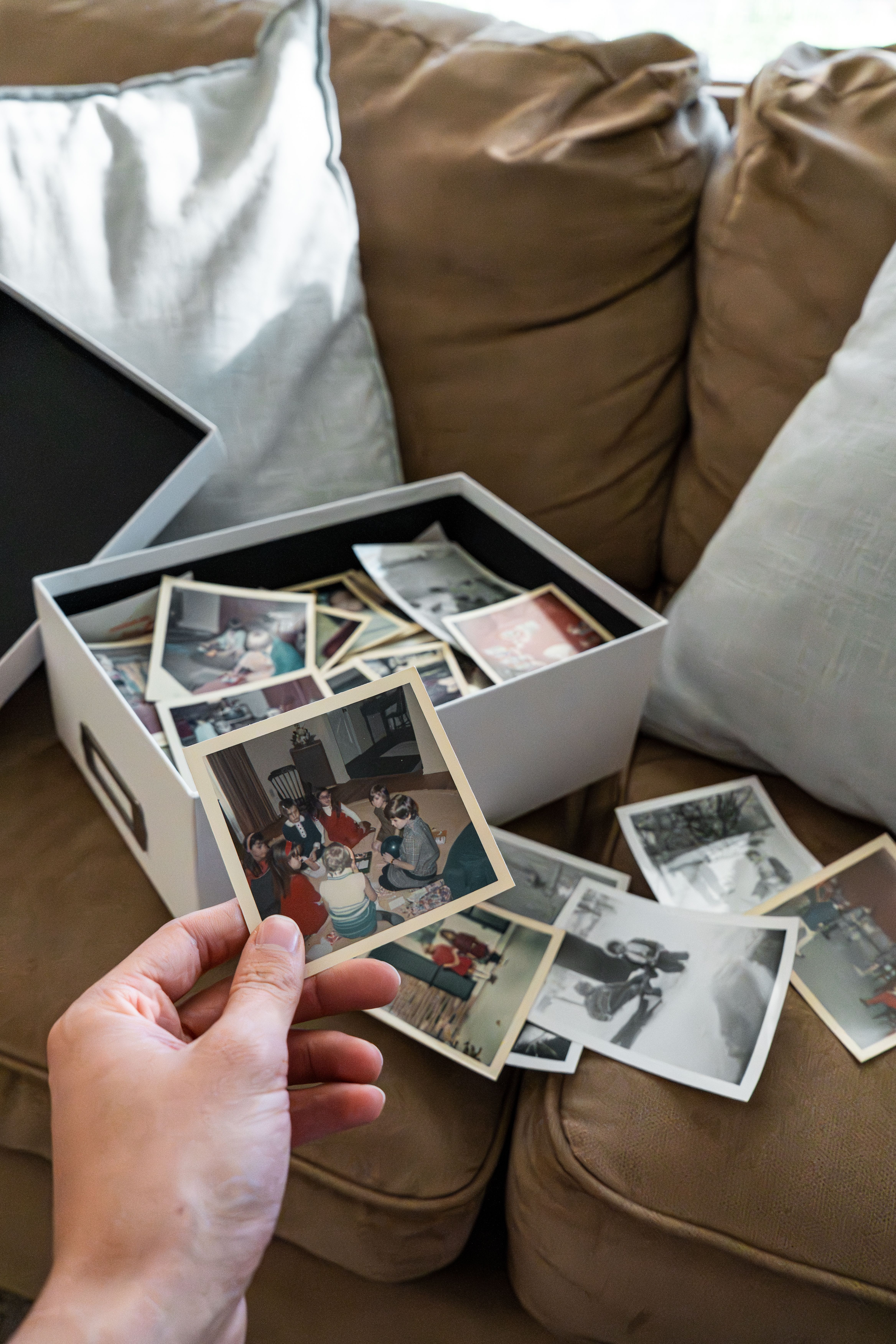 Snapshots+Office Photos, Download The BEST Free Snapshots+Office Stock ...