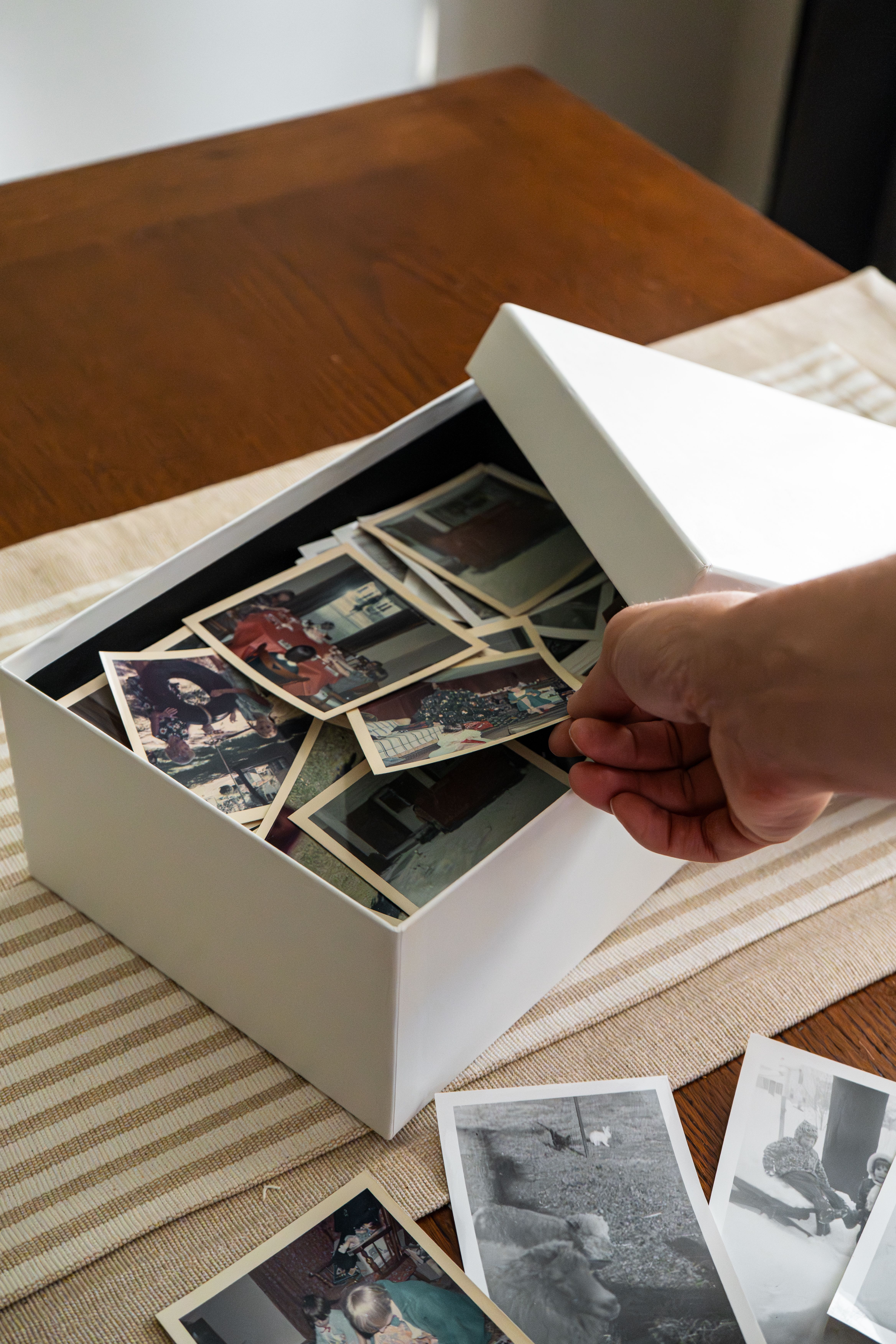 Vintage Photo Collection in White Shoebox · Free Stock Photo
