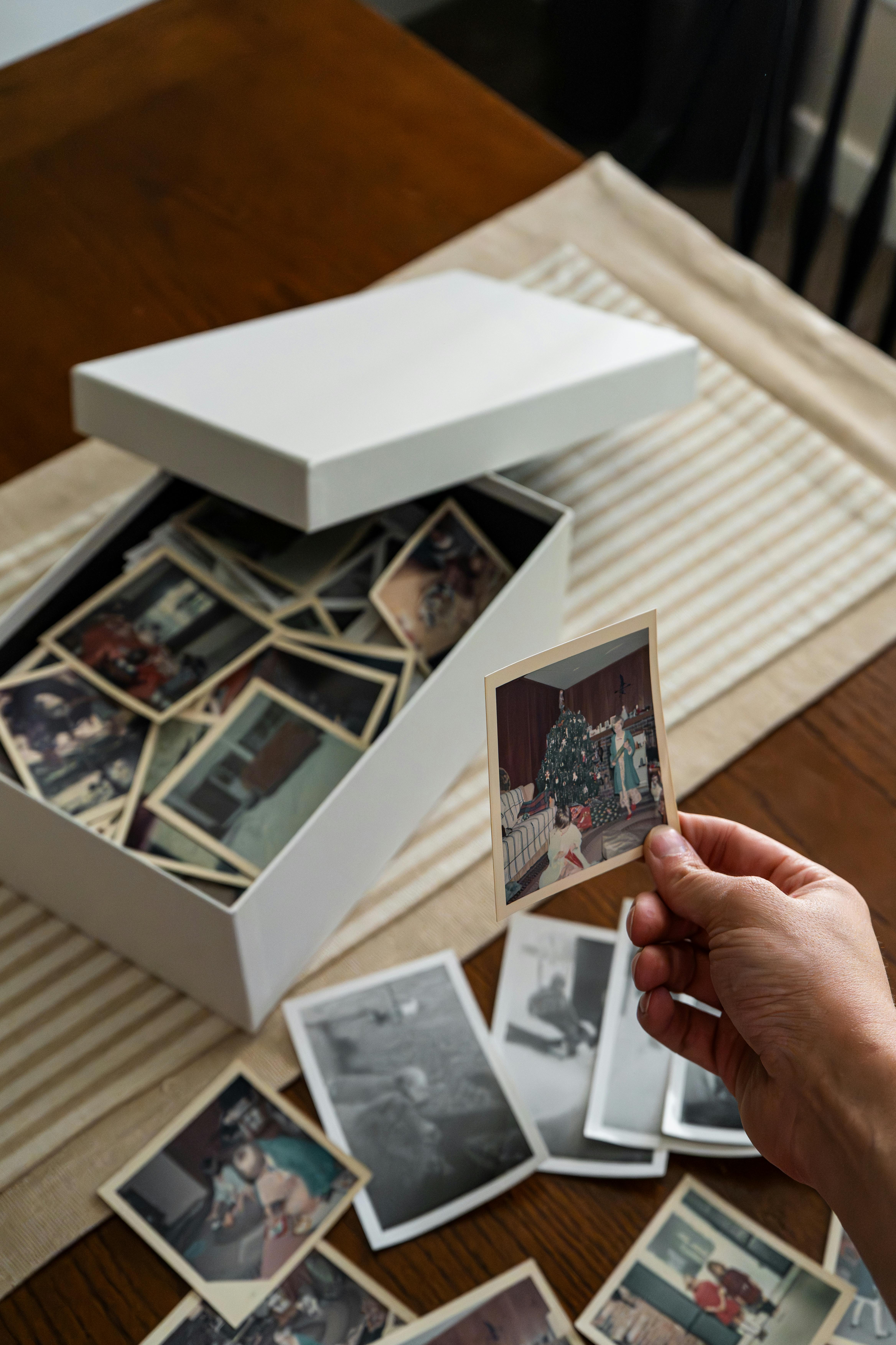 Nostalgic Collection of Old Family Photos · Free Stock Photo