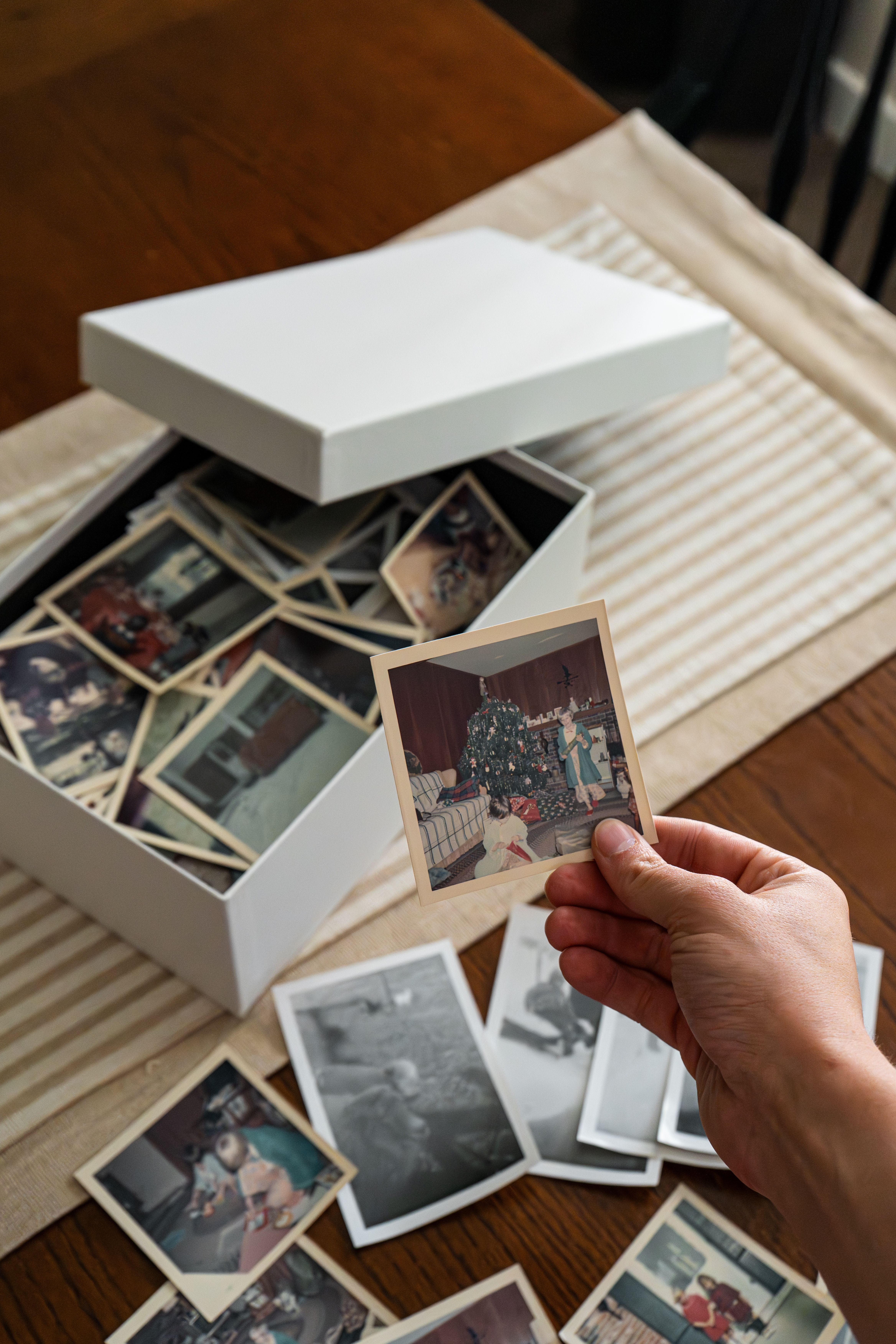Capal Photo Photos, Download The BEST Free Capal Photo Stock Photos ...