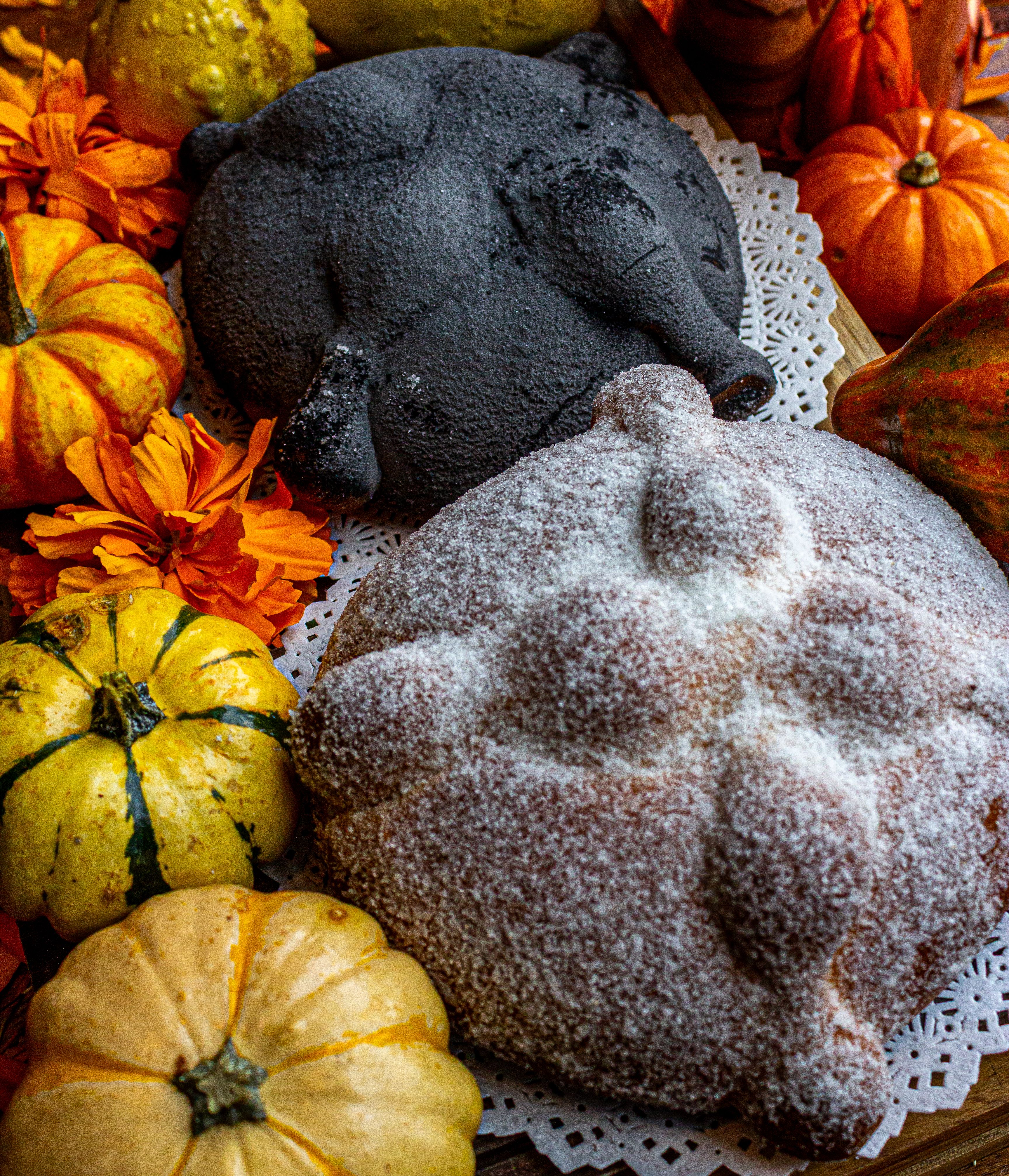 Colorful Autumn Display with Pan de Muerto · Free Stock Photo