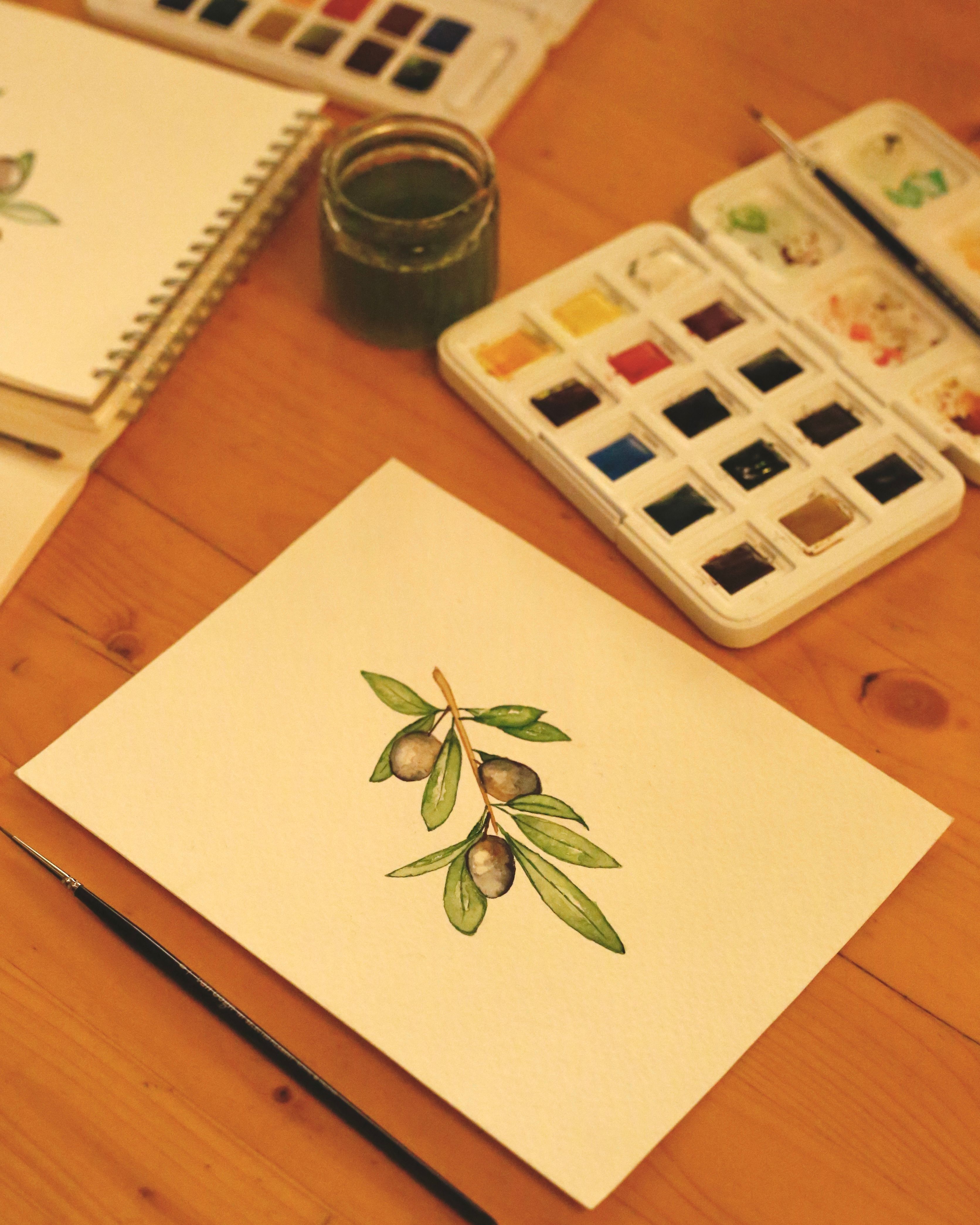 Olive Twig Painting Photos, Download The BEST Free Olive Twig Painting ...