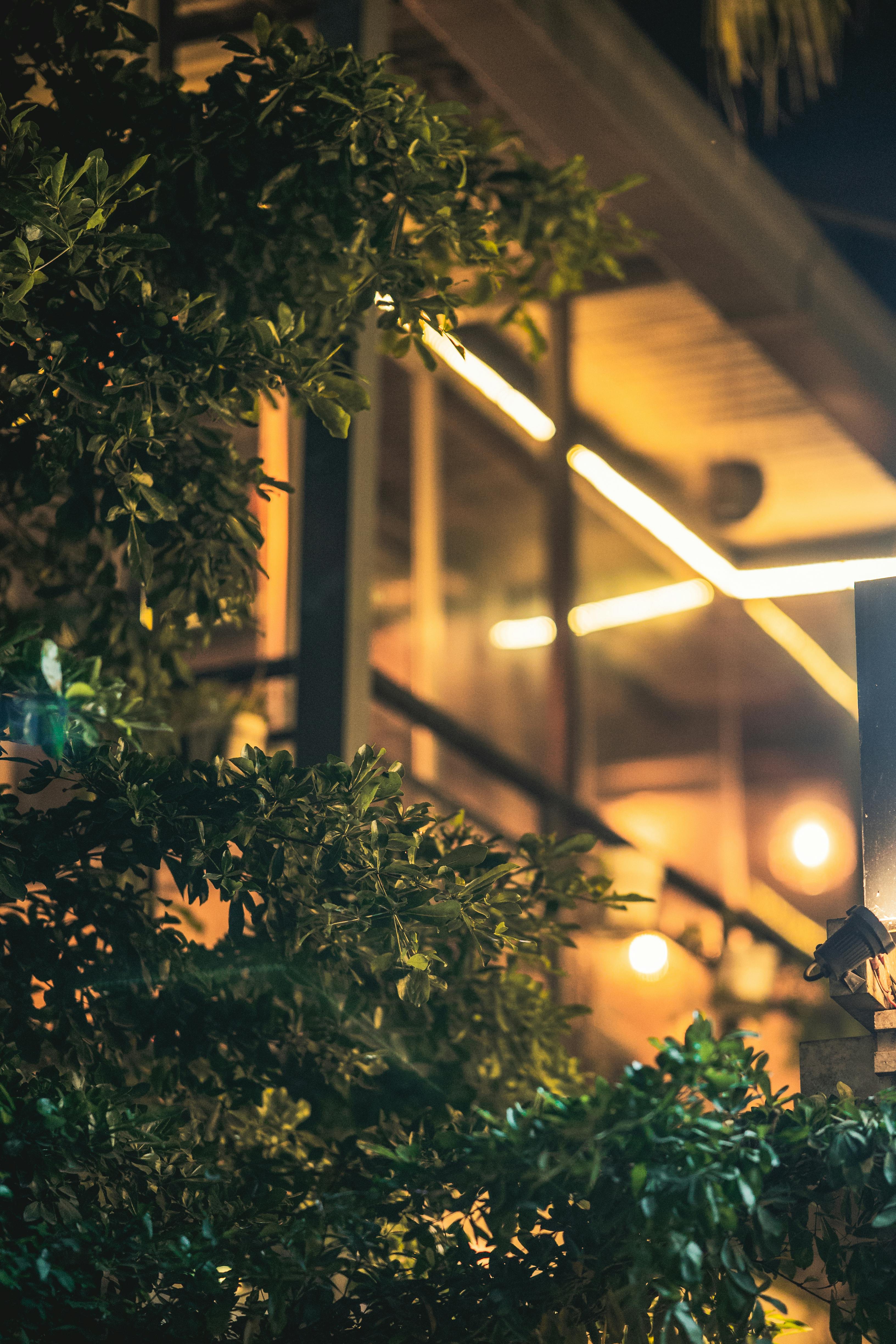 2.195+ Fotos y Imágenes de Fotografii din dhaka Gratis · Banco de Fotos ...