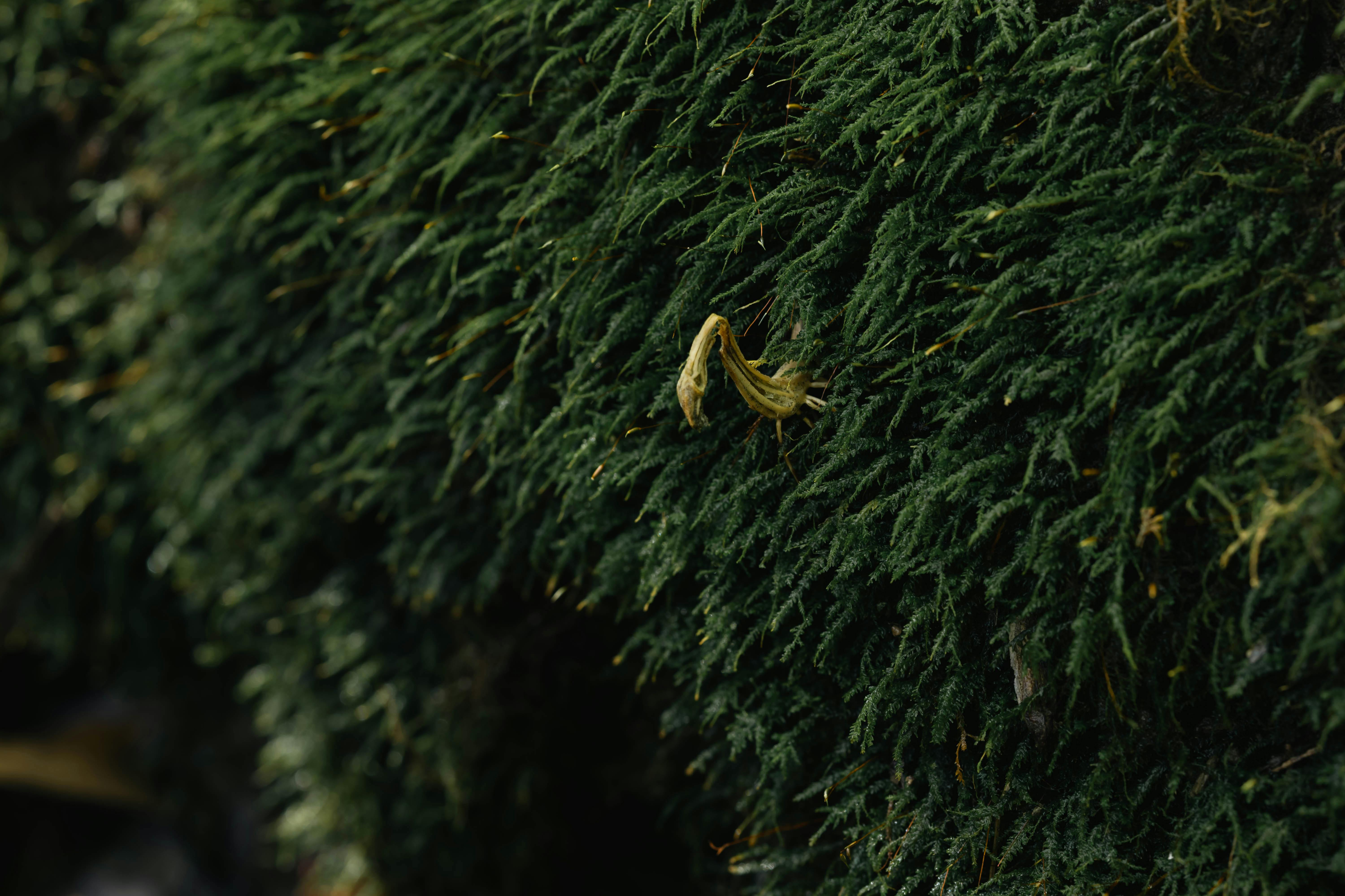 Non Distracting Background Photos, Download The BEST Free Non ...