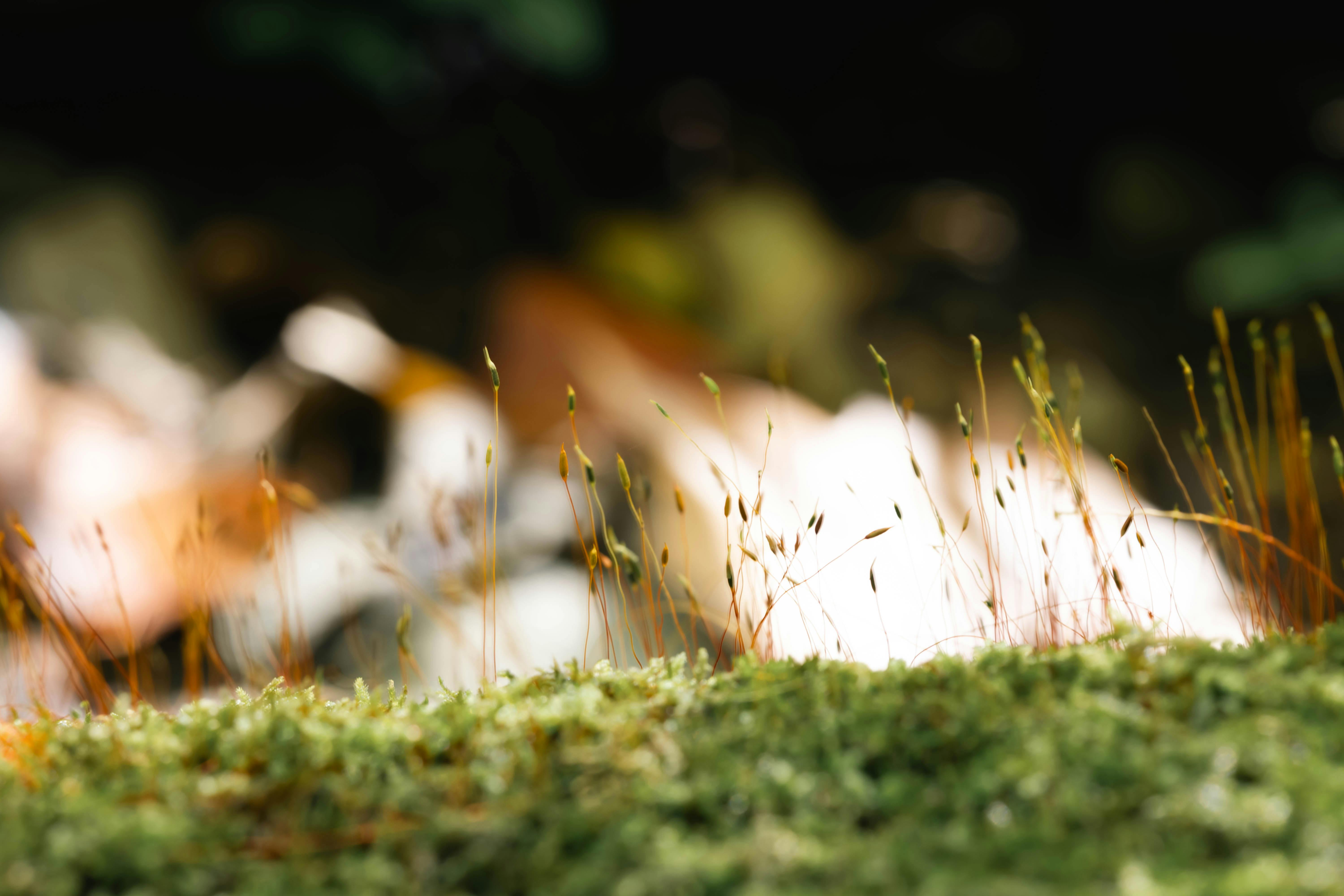 5 Minute Photos, Download The BEST Free 5 Minute Stock Photos & HD Images