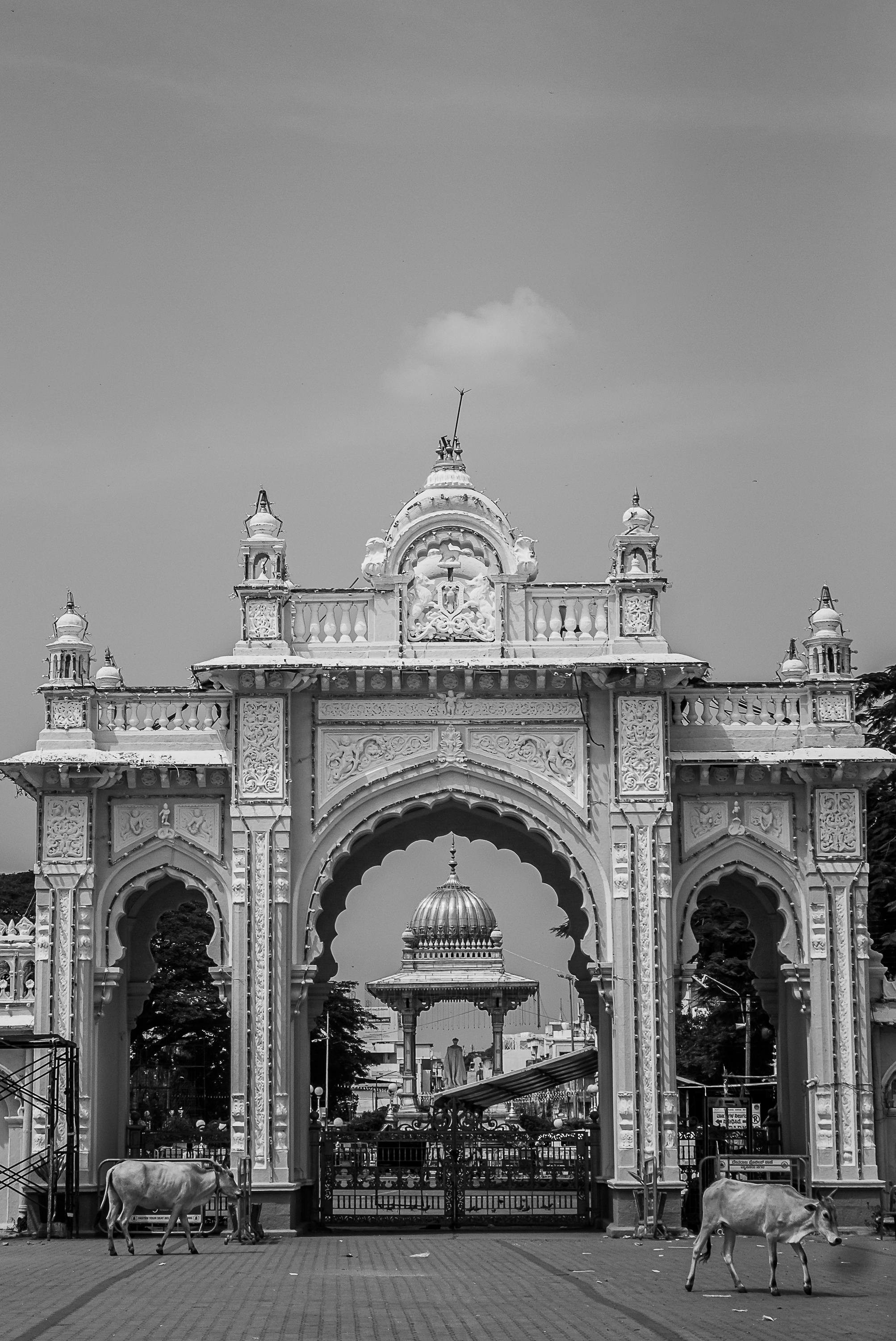 Mysore Dasara Ambari Photos, Download The BEST Free Mysore Dasara ...