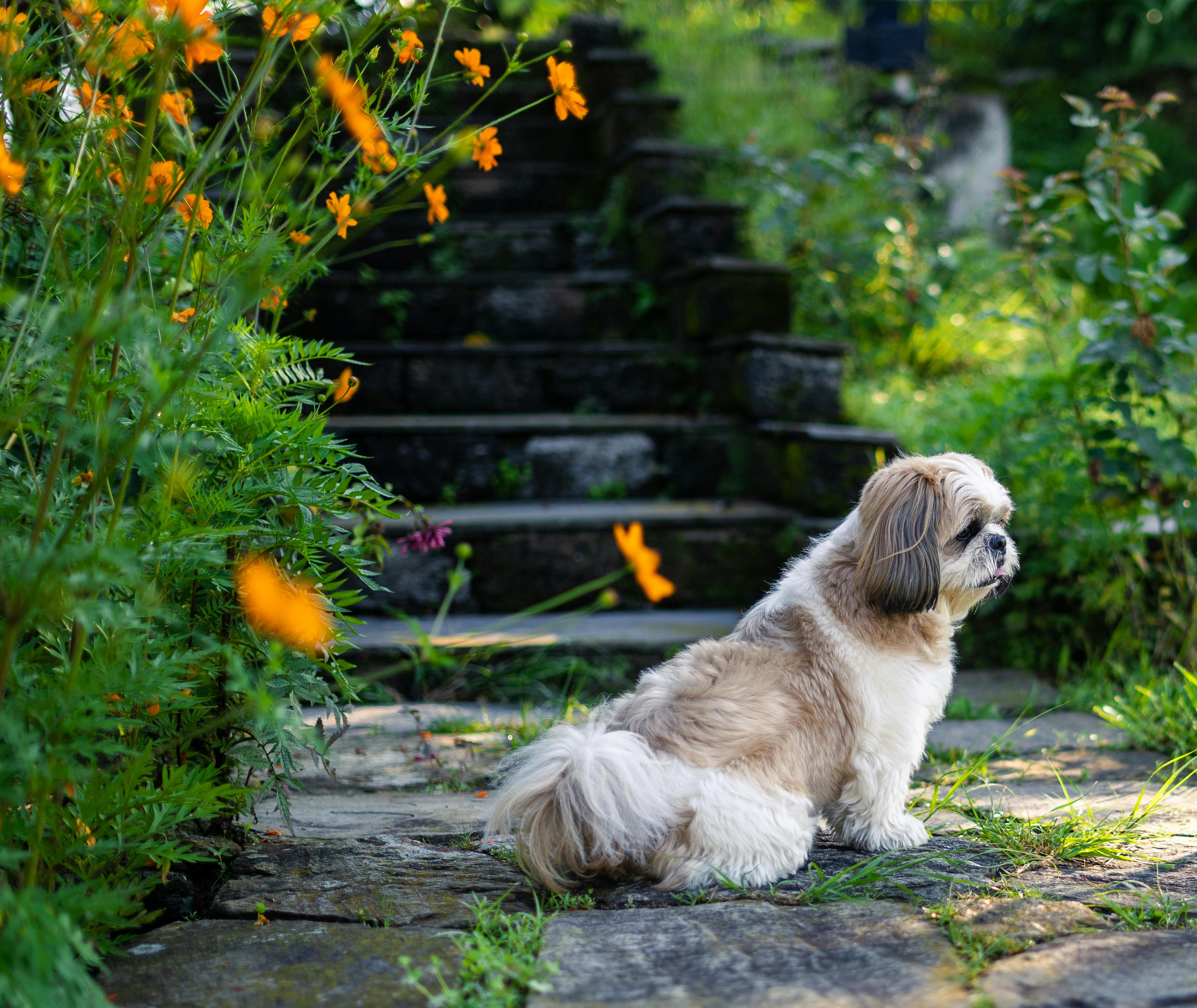 Hat+Kata+Photo Photos, Download The BEST Free Hat+Kata+Photo Stock ...