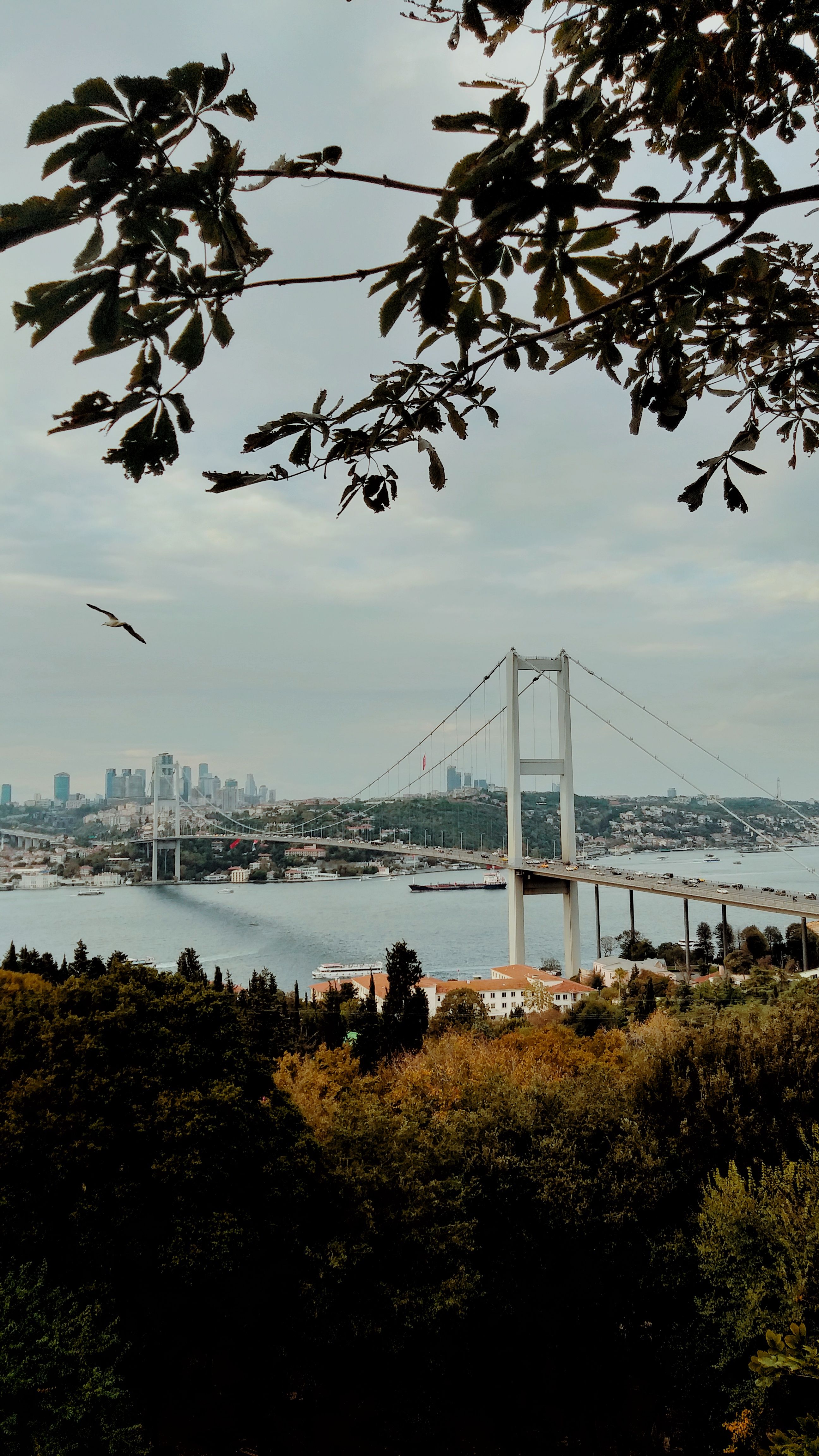 Scenic View of Bosphorus Bridge in Istanbul · Free Stock Photo