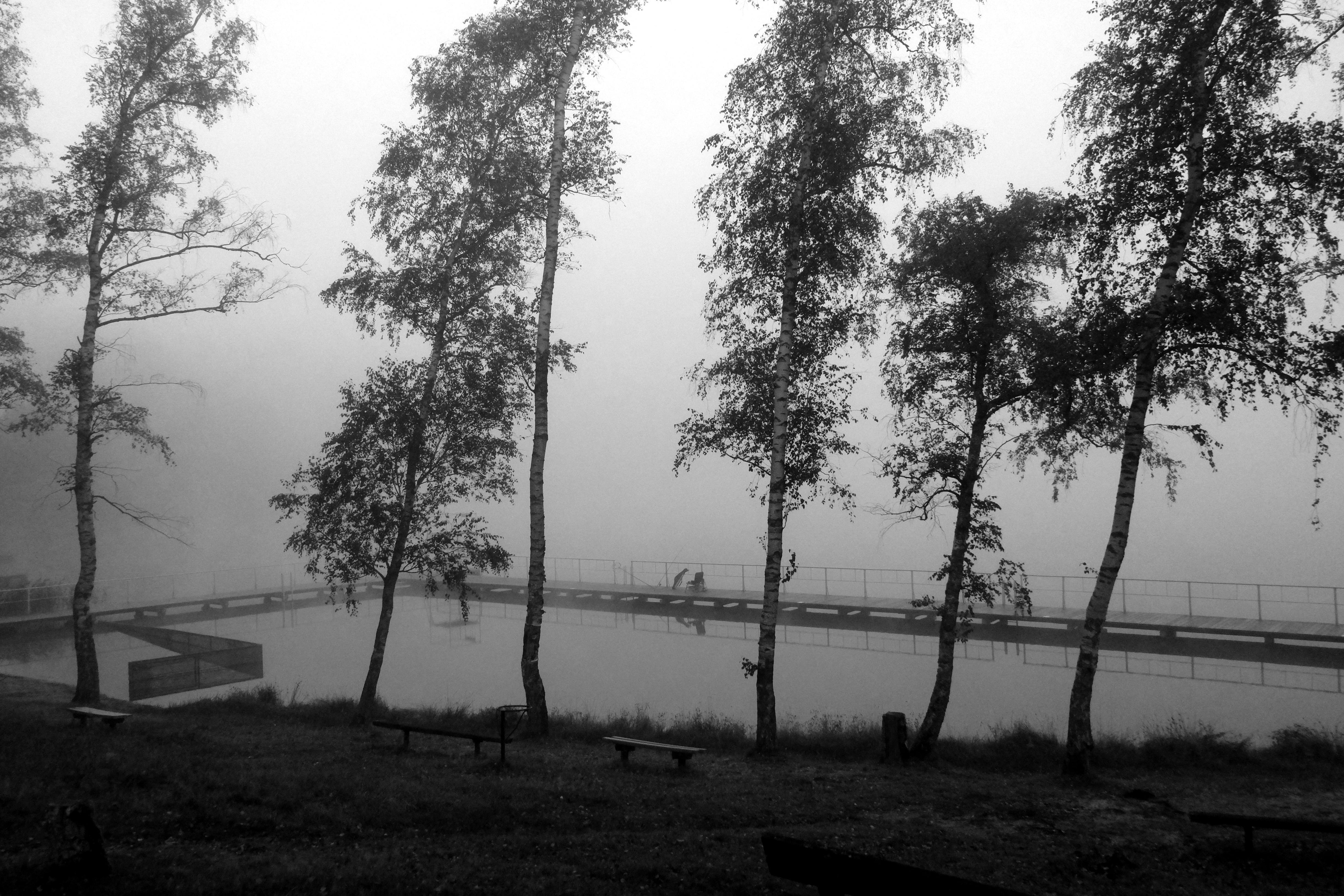 Fall Images Photos, Download The BEST Free Fall Images Stock Photos ...