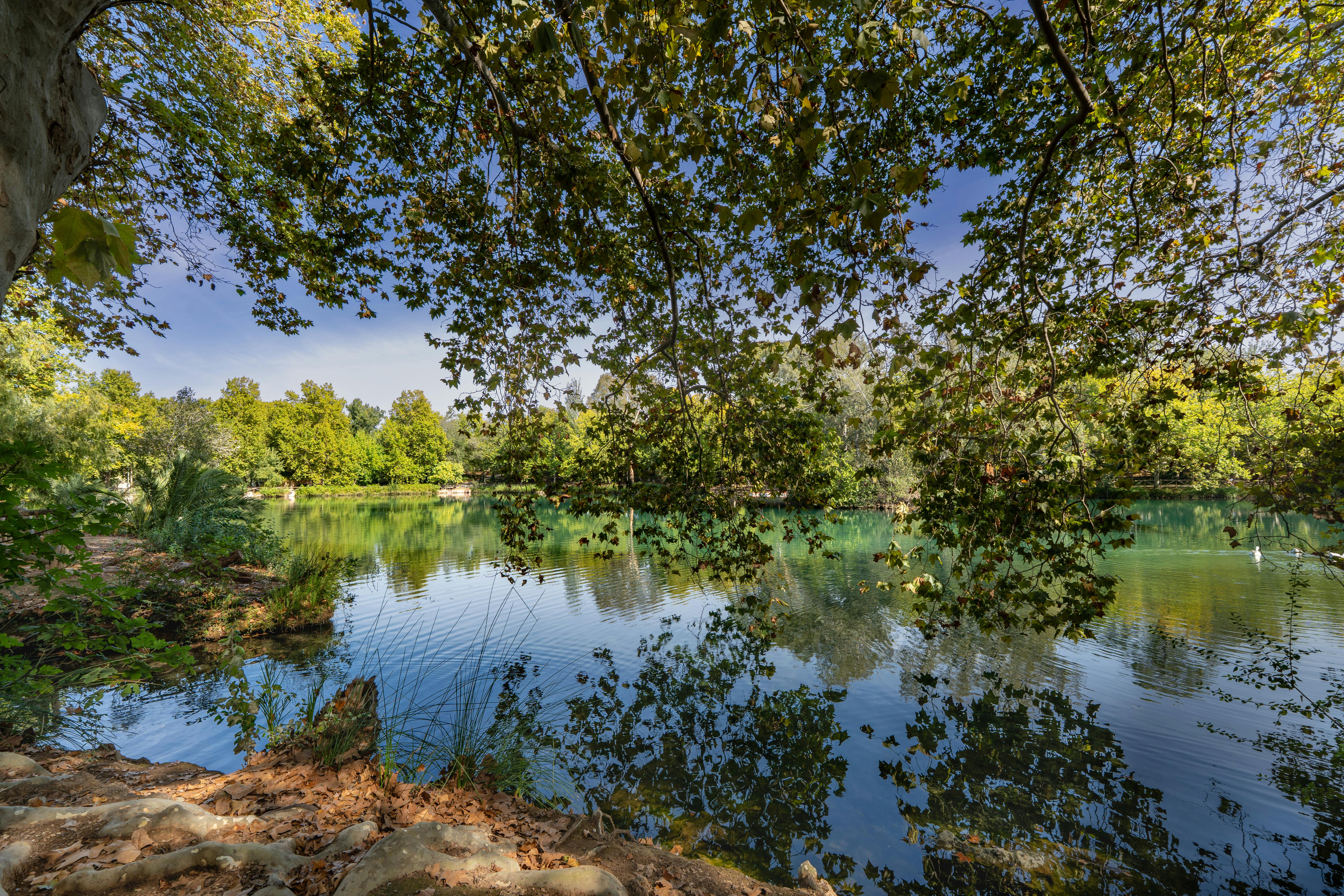 Anna Malygon Photos Photos, Download The BEST Free Anna Malygon Photos ...