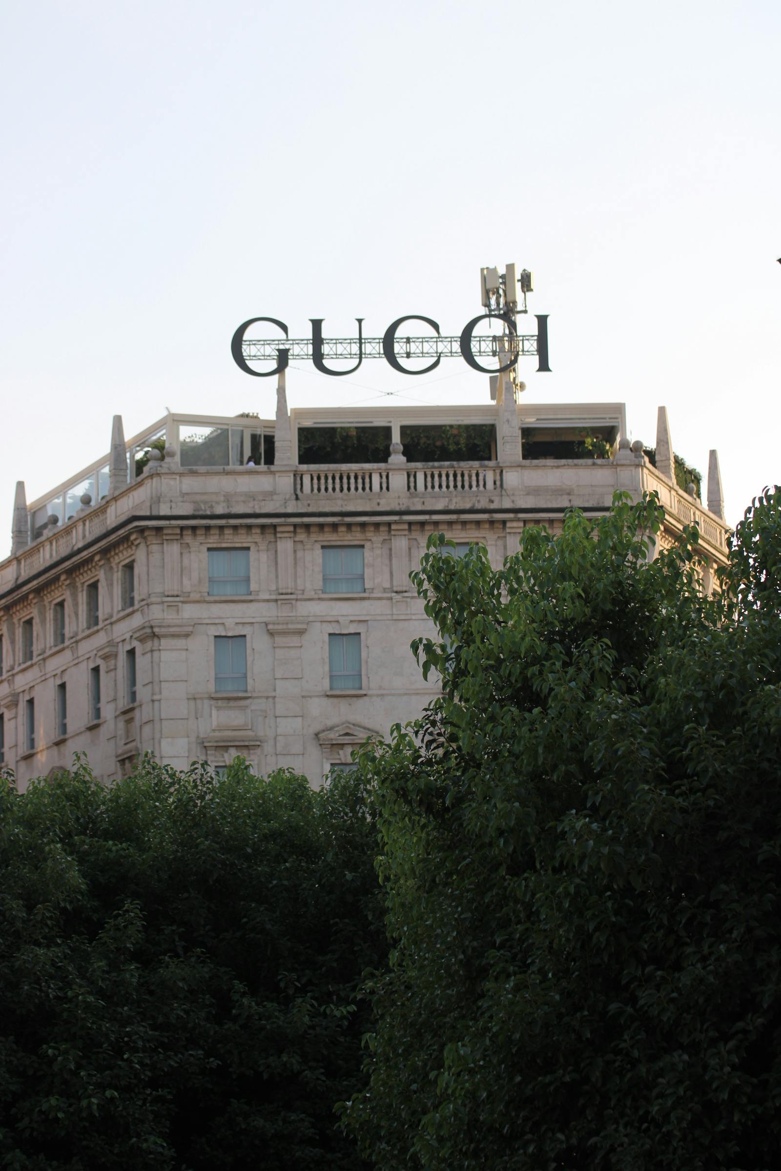 Gucci Photos, Download The BEST Free Gucci Stock Photos & HD Images