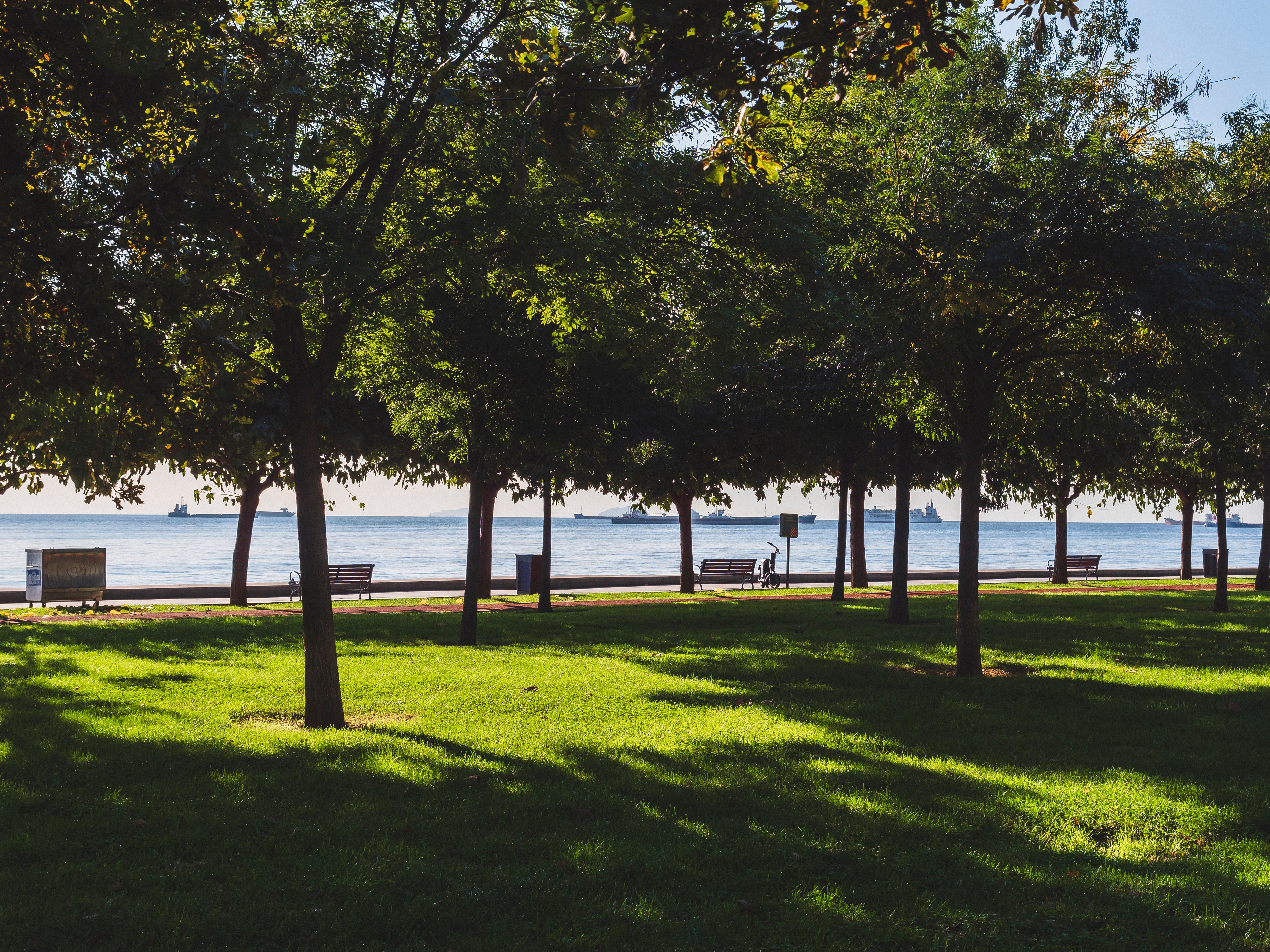 Lush Green Sea Breeze View Photos, Download The BEST Free Lush Green ...