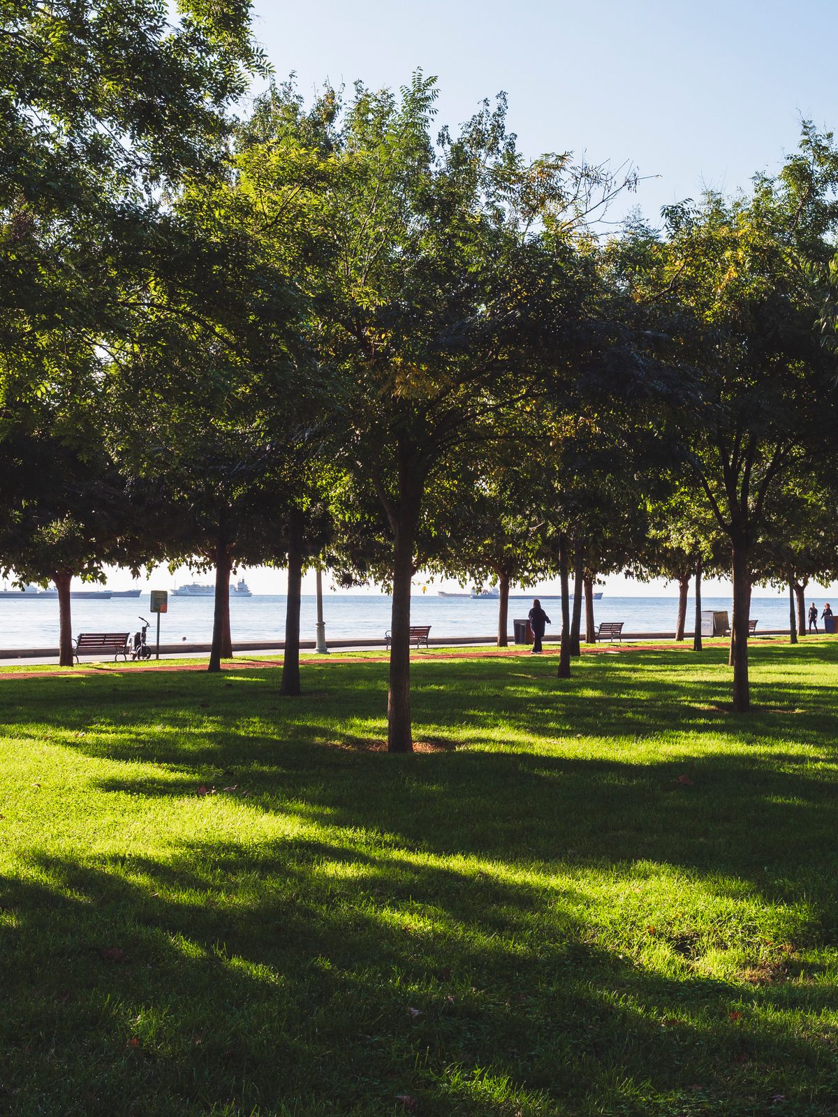 Park With Trees Photos, Download The BEST Free Park With Trees Stock ...