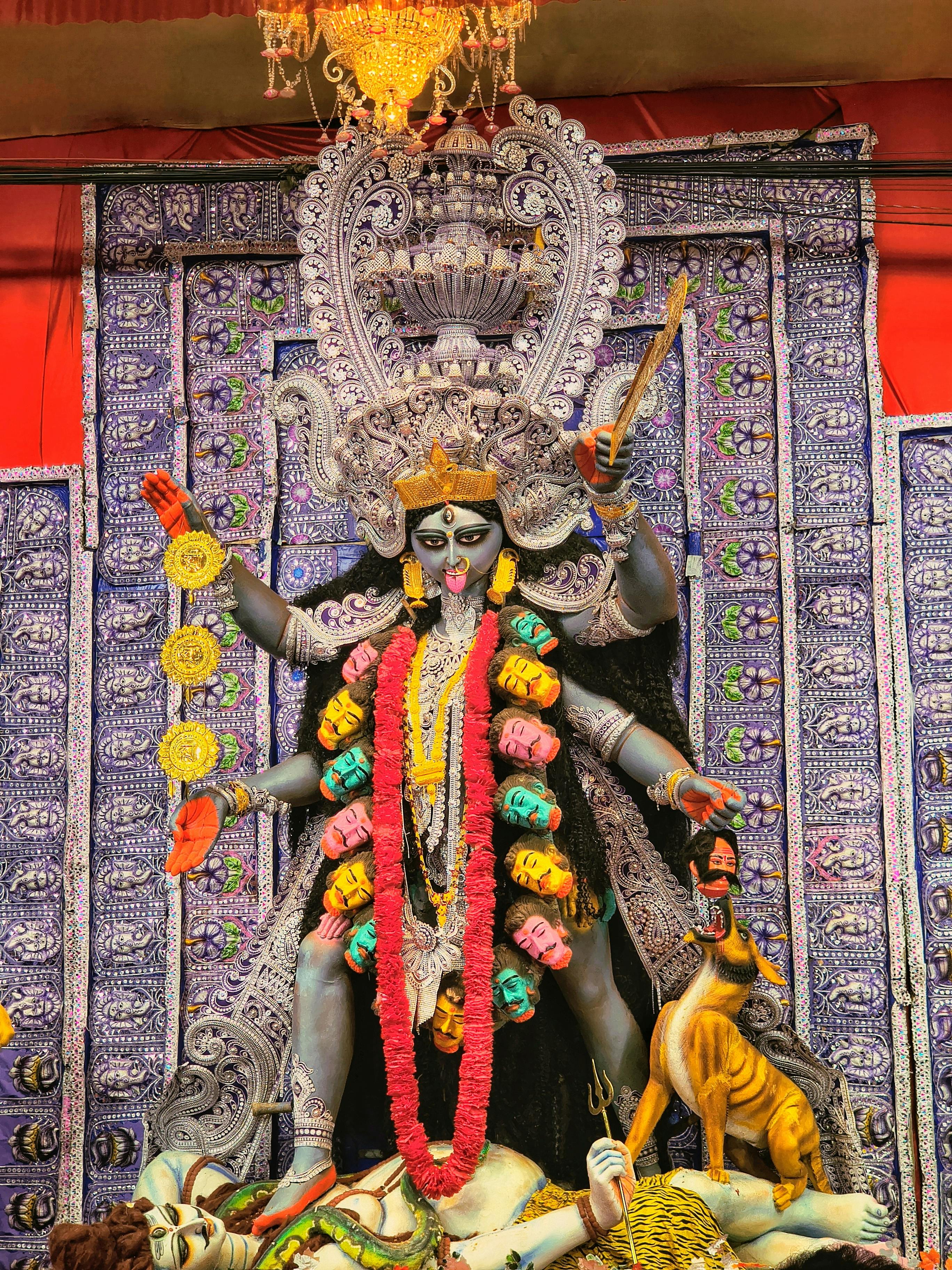 Kpop Idol Photos, Download The BEST Free Kpop Idol Stock Photos & HD Images