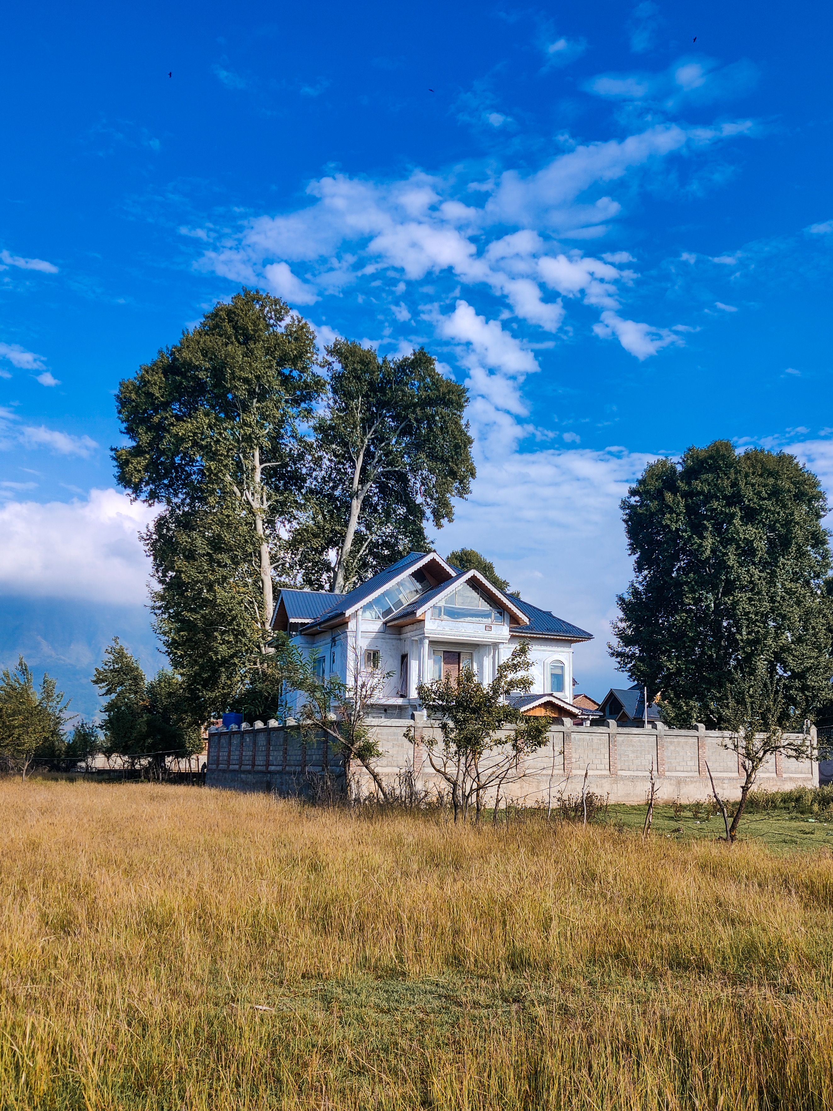 Beautiful Grass Field Photos, Download The BEST Free Beautiful Grass ...