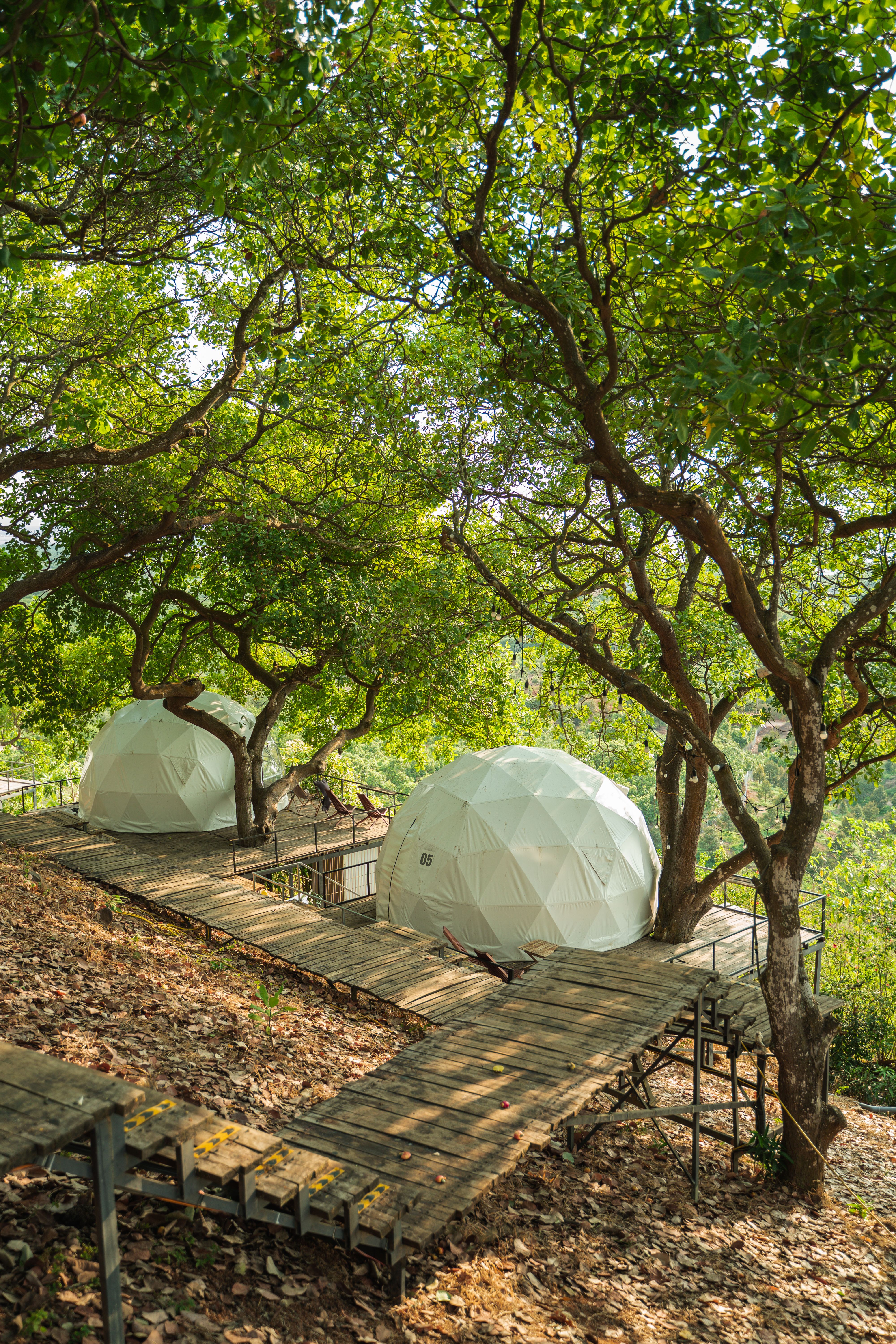 Geodesic Domes in Scenic Forest Retreat · Free Stock Photo