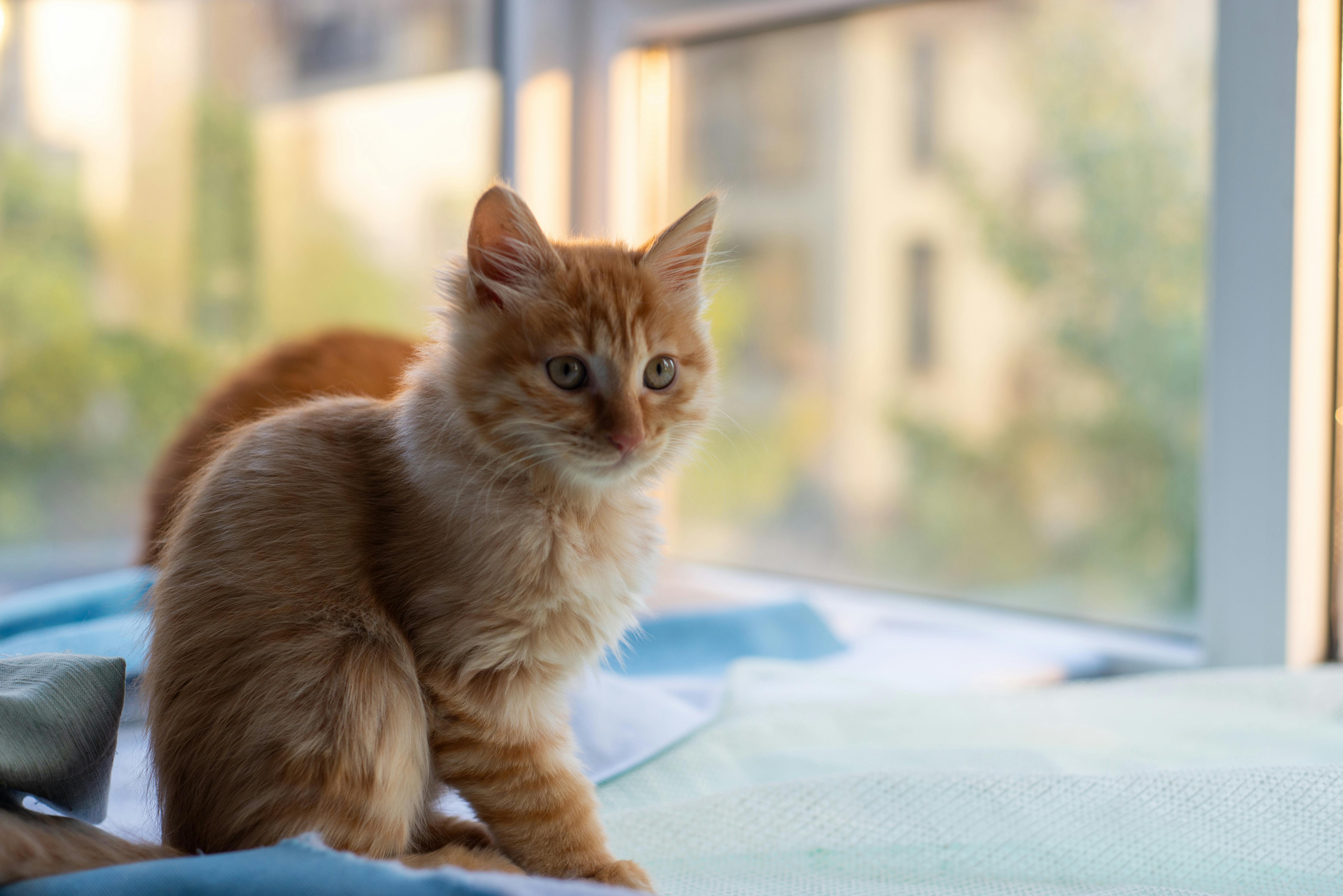 Hiiii+Ji+M+M+S+K+Hot+On++Yol+Na+Hai+Na+Hai+Na+Hai+Na+Ka+Gana+ Photos, Download The BEST Free ...