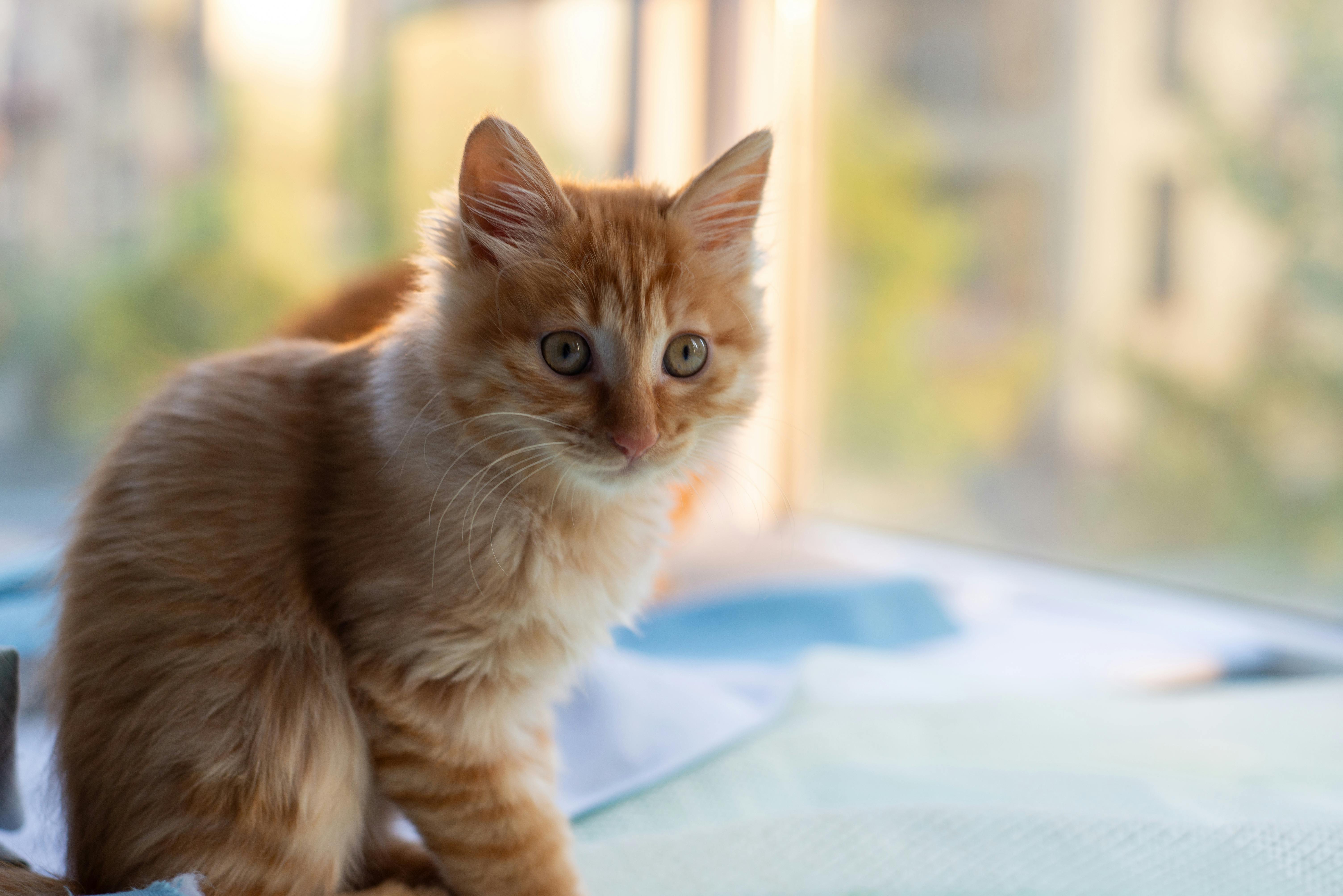 Hiiii+Ji+M+M+S+K+Hot+On++Yol+Na+Hai+Na+Hai+Na+Hai+Na+Ka+Gana+ Photos, Download The BEST Free ...