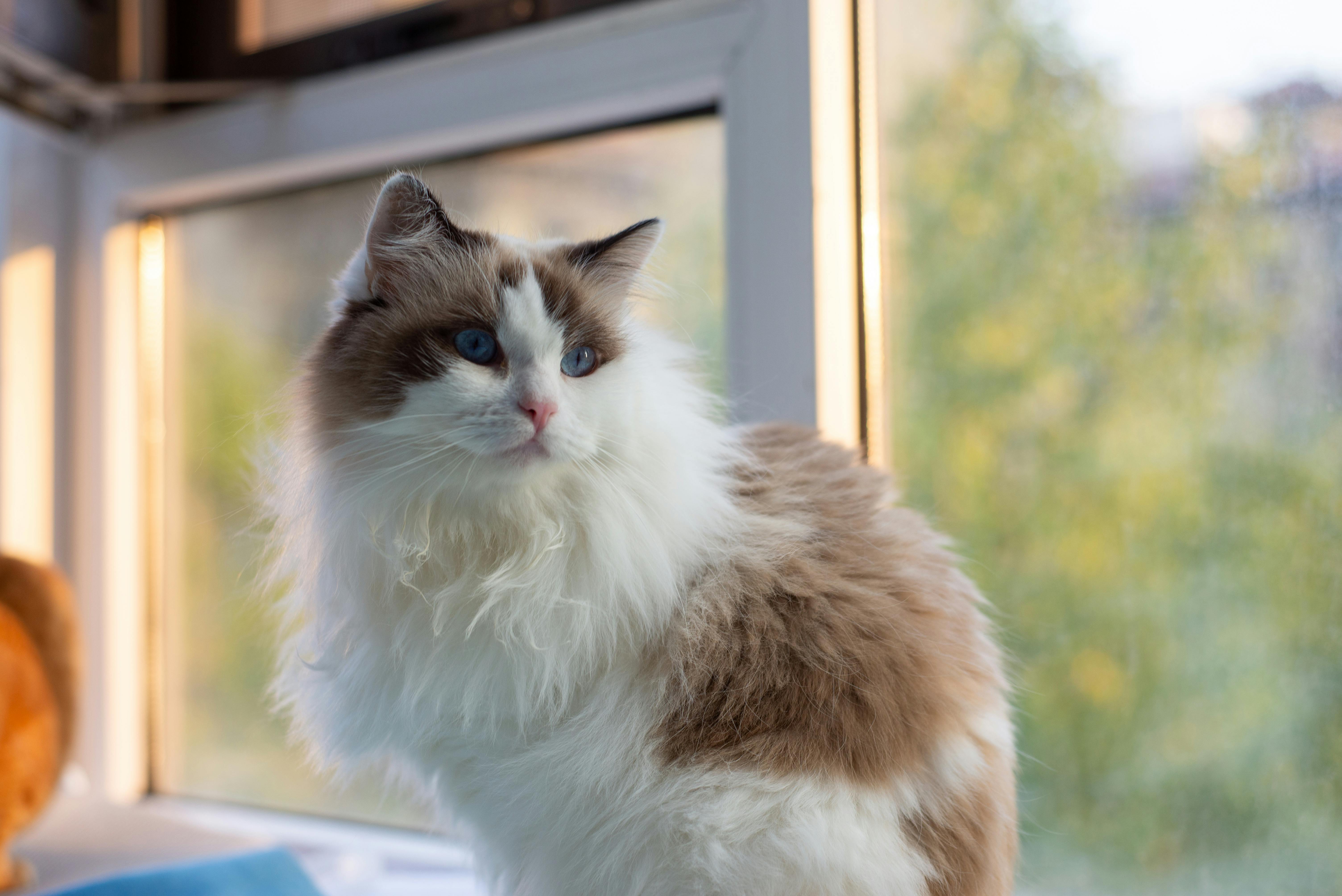 Hiiii+Ji+M+M+S+K+Hot+On++Yol+Na+Hai+Na+Hai+Na+Hai+Na+Ka+Gana+ Photos, Download The BEST Free ...