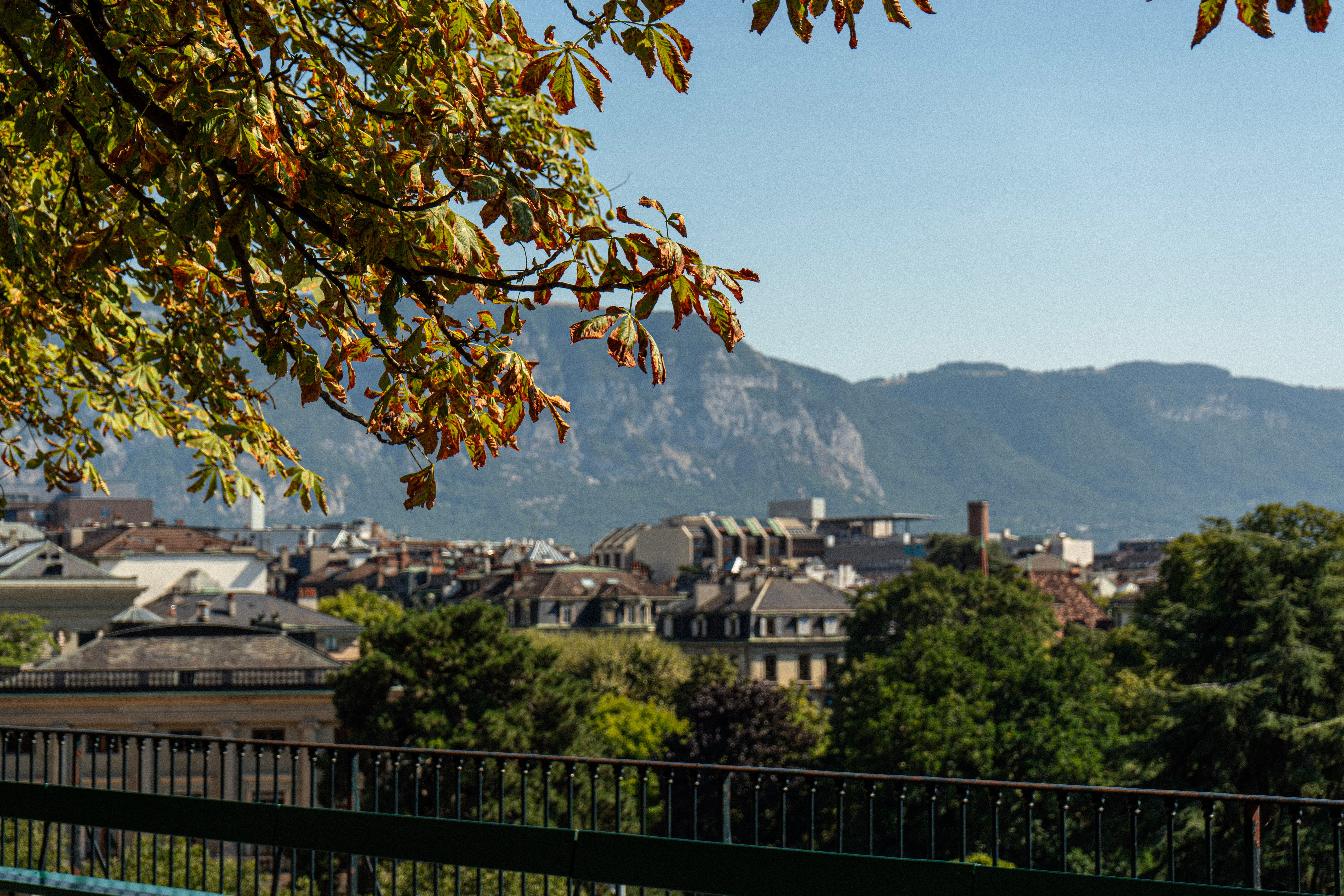 Scenic View of Geneva with Mountain Backdrop · Free Stock Photo
