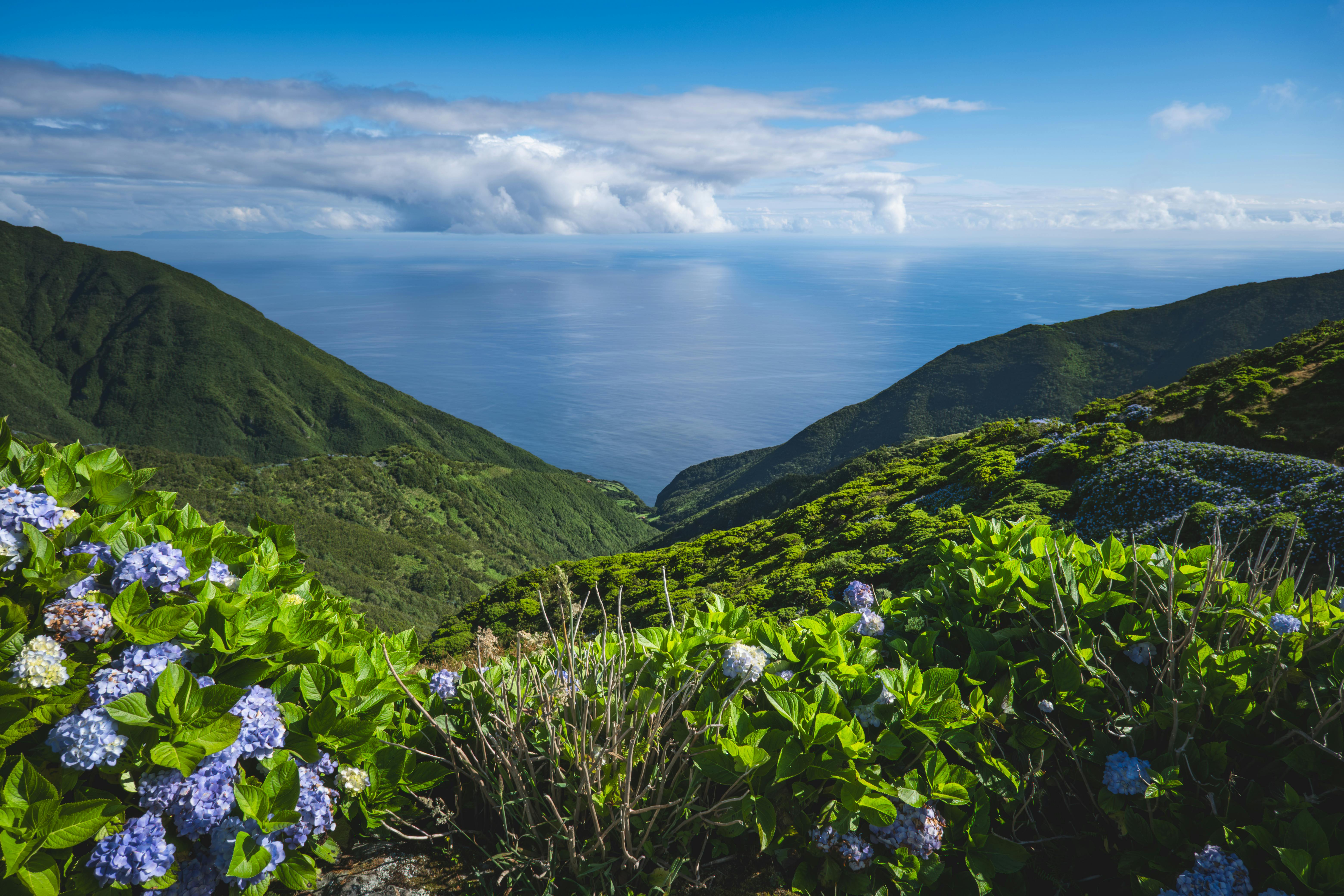 Beautiful View Landscape Photos, Download The BEST Free Beautiful View ...