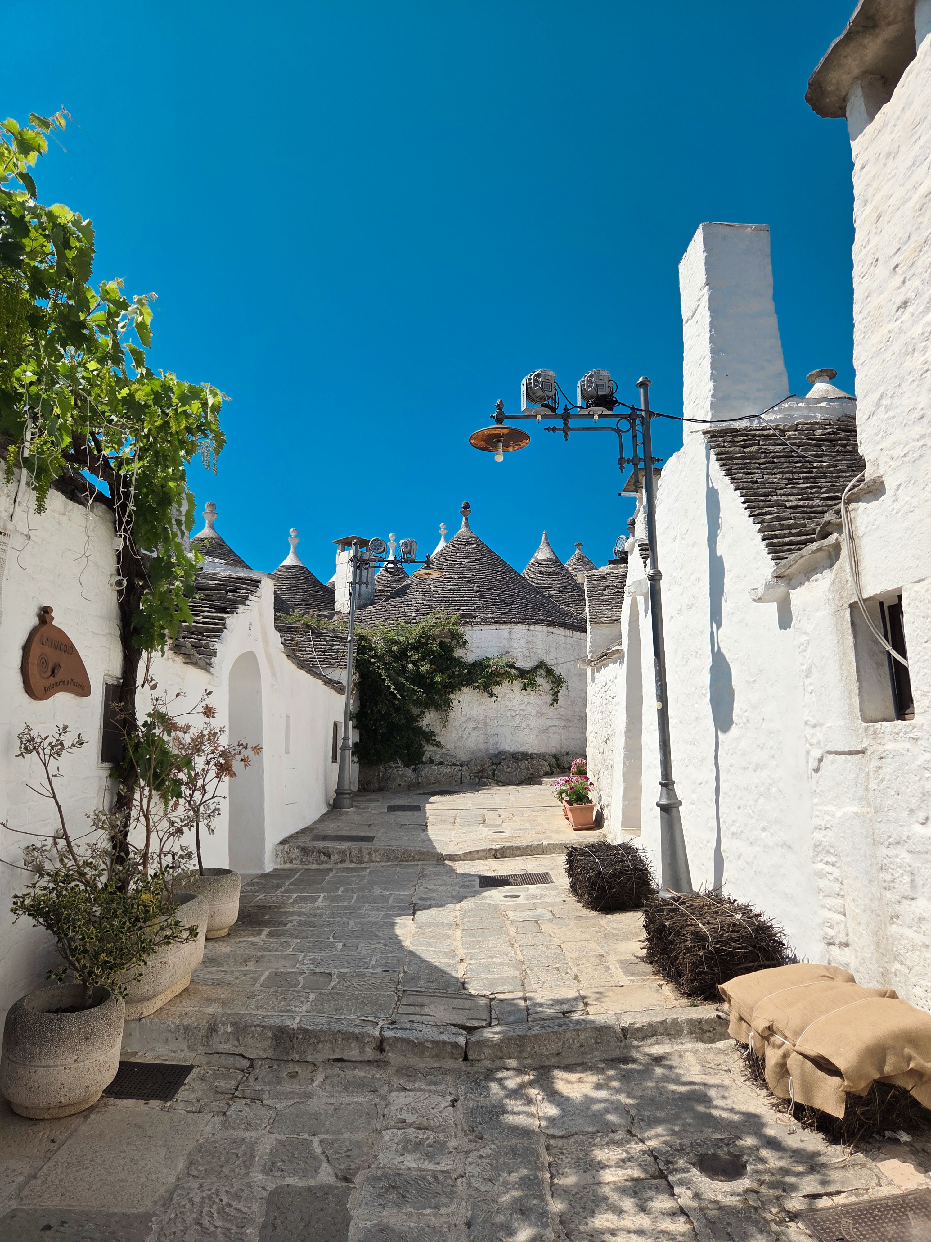 Iconic Trulli Houses in Alberobello, Italy · Free Stock Photo