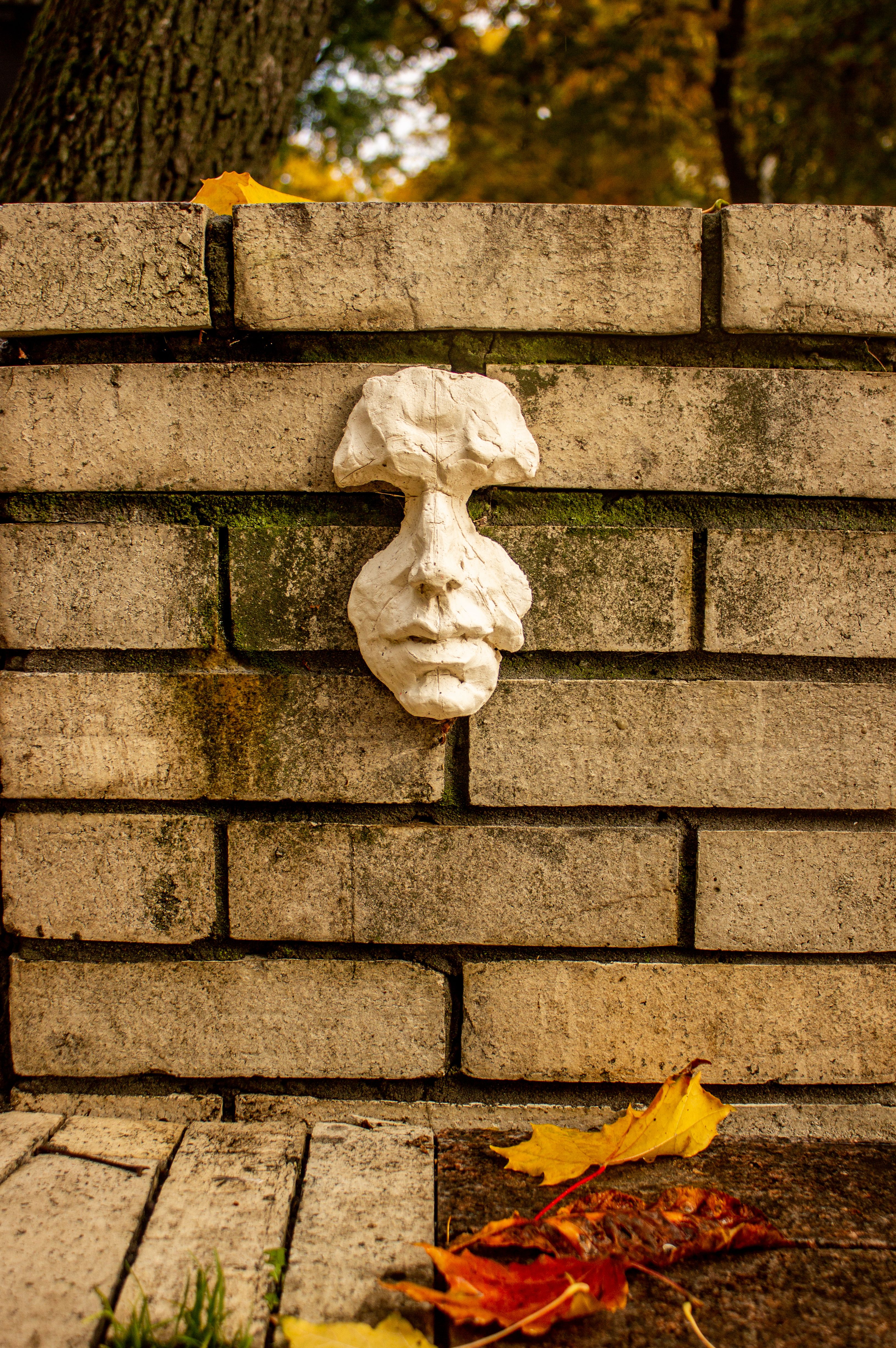 Sculpted Face on Brick Wall with Autumn Leaves · Free Stock Photo