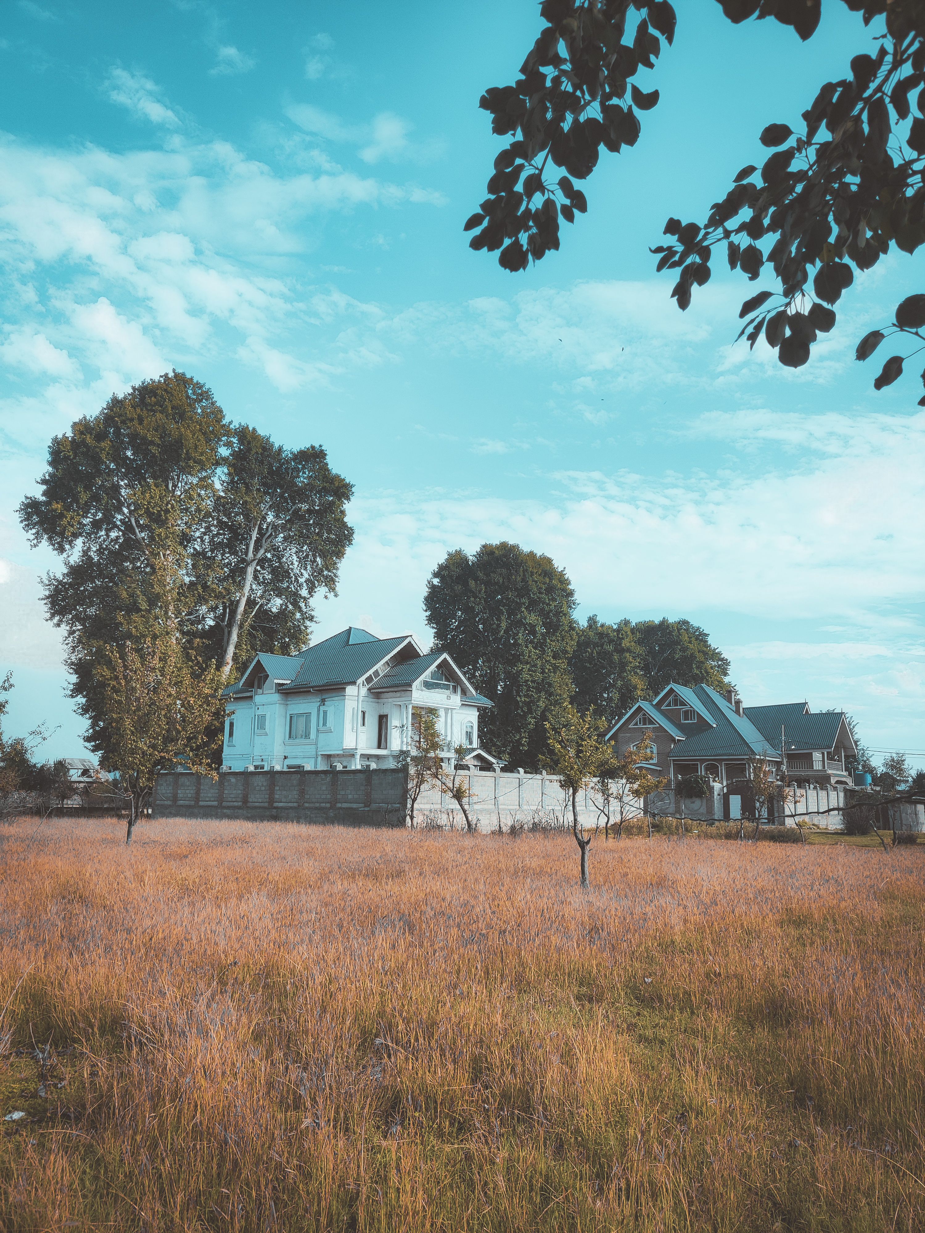Beautiful Grass Field Photos, Download The BEST Free Beautiful Grass ...