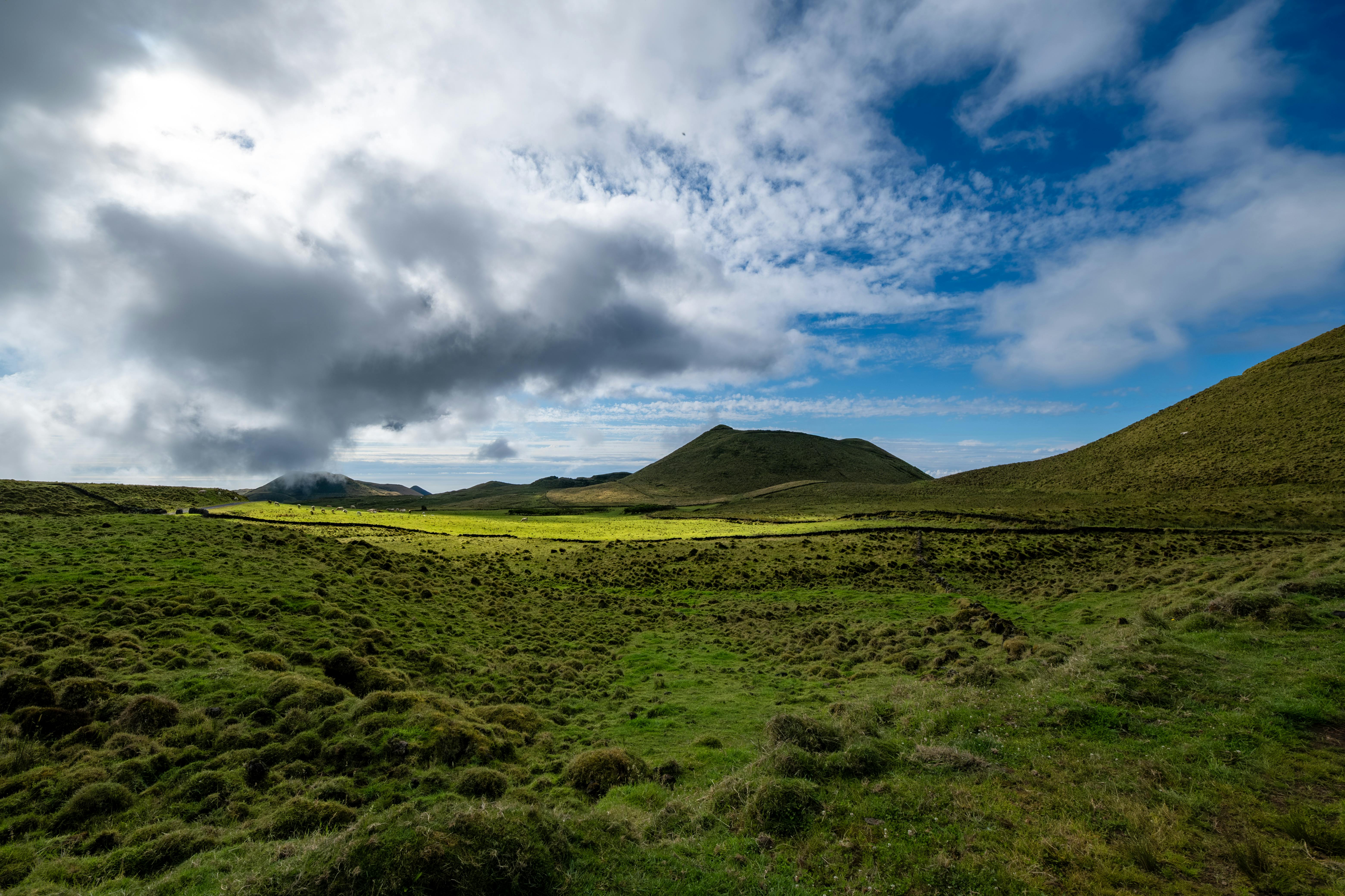 Nature View Photos, Download The BEST Free Nature View Stock Photos ...