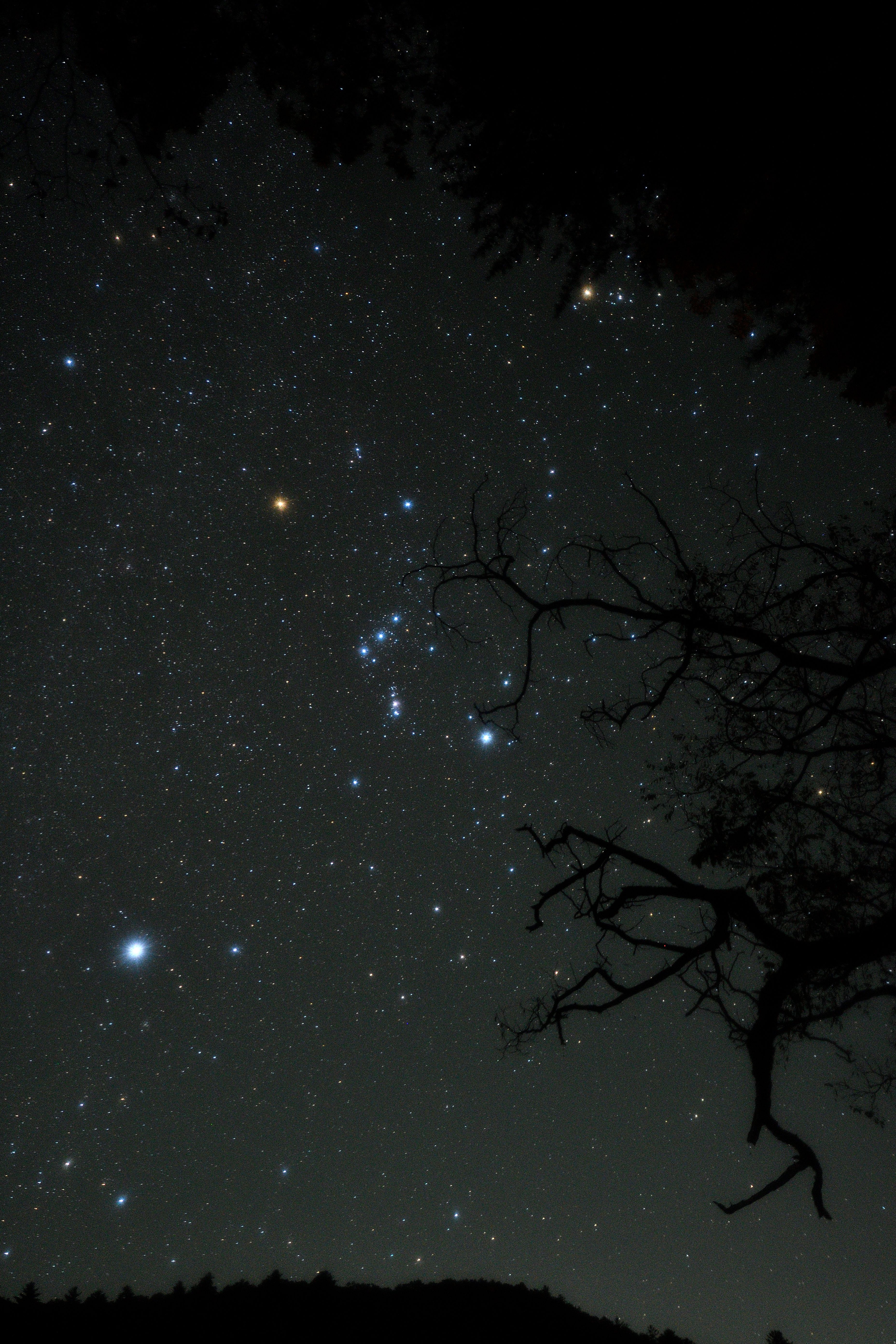99.894+ Fotos y Imágenes de Rigel star pc wallpaper Gratis · Banco de ...
