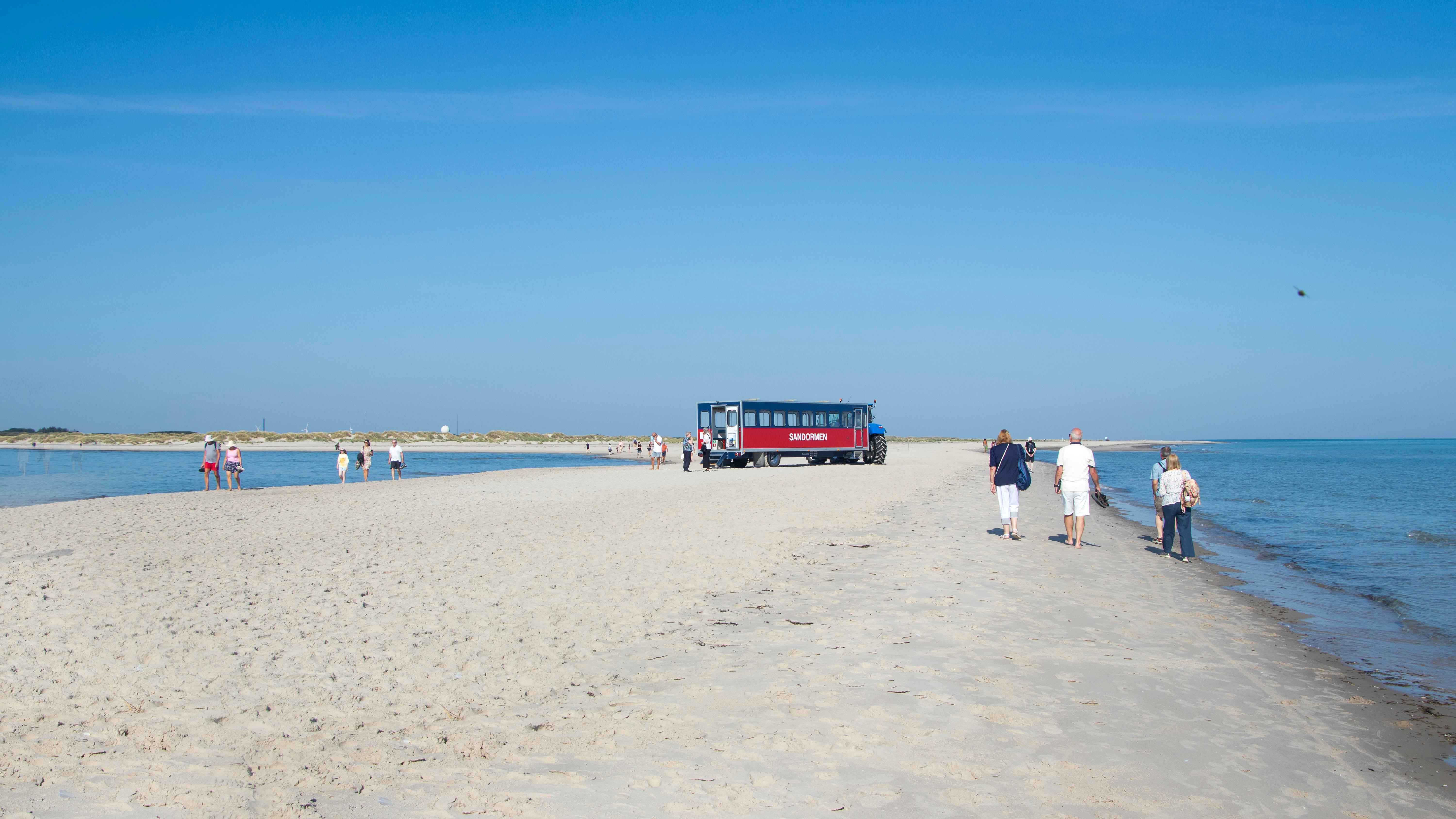 Fisher Cat Photos, Download The BEST Free Fisher Cat Stock Photos & HD ...