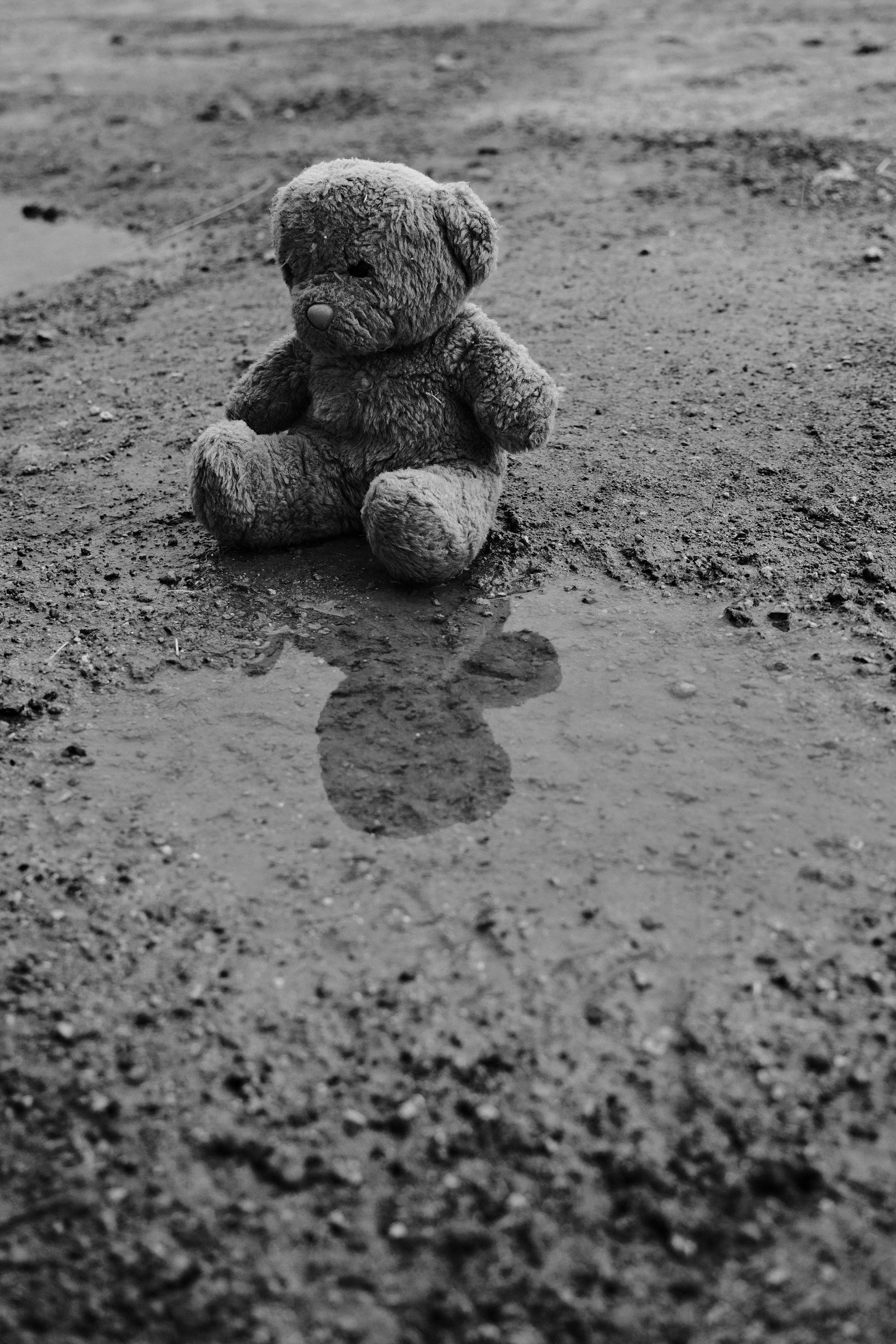 Lonely Teddy Bear Reflected in Puddle · Free Stock Photo