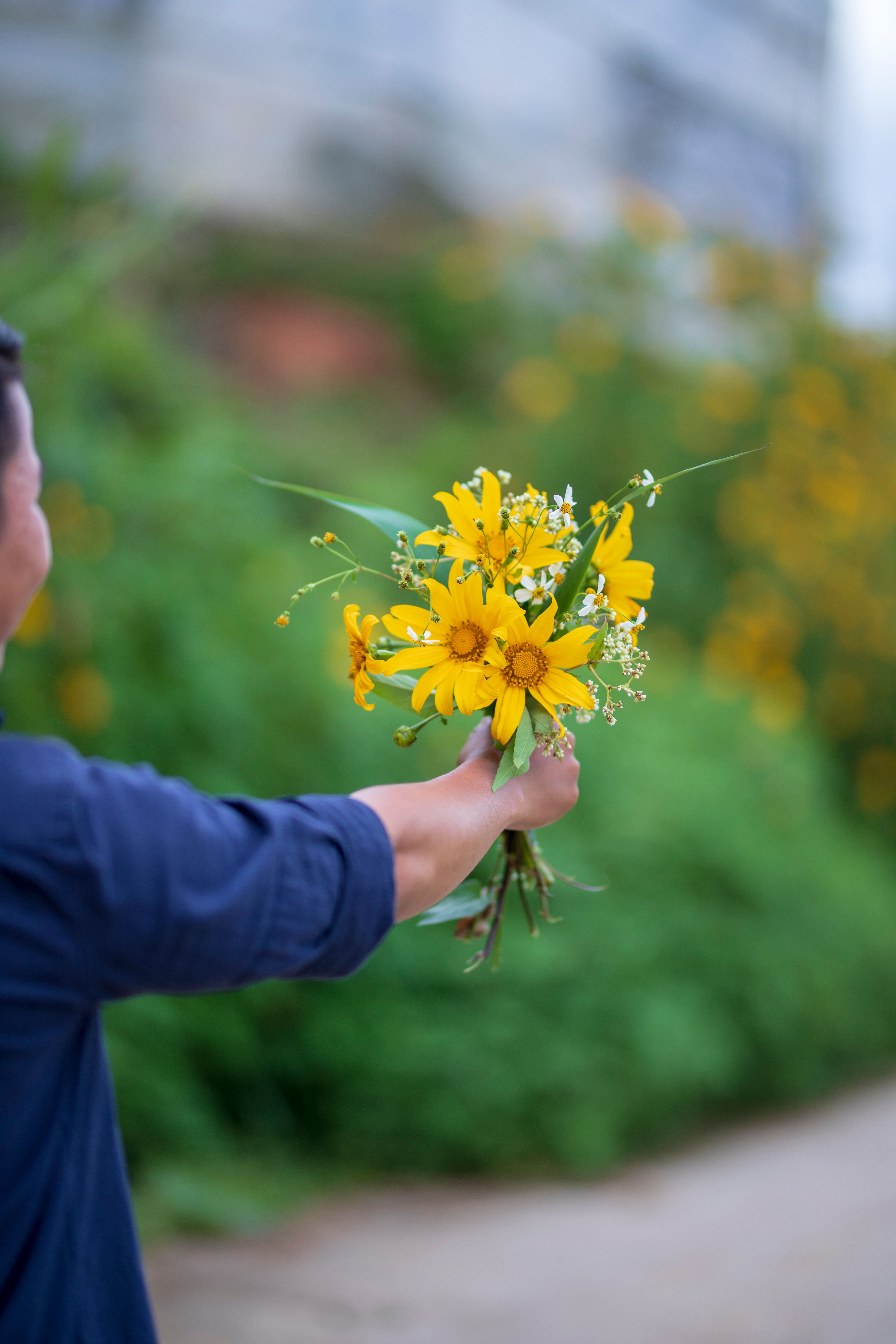 Gift Blok Photos, Download The BEST Free Gift Blok Stock Photos & HD Images