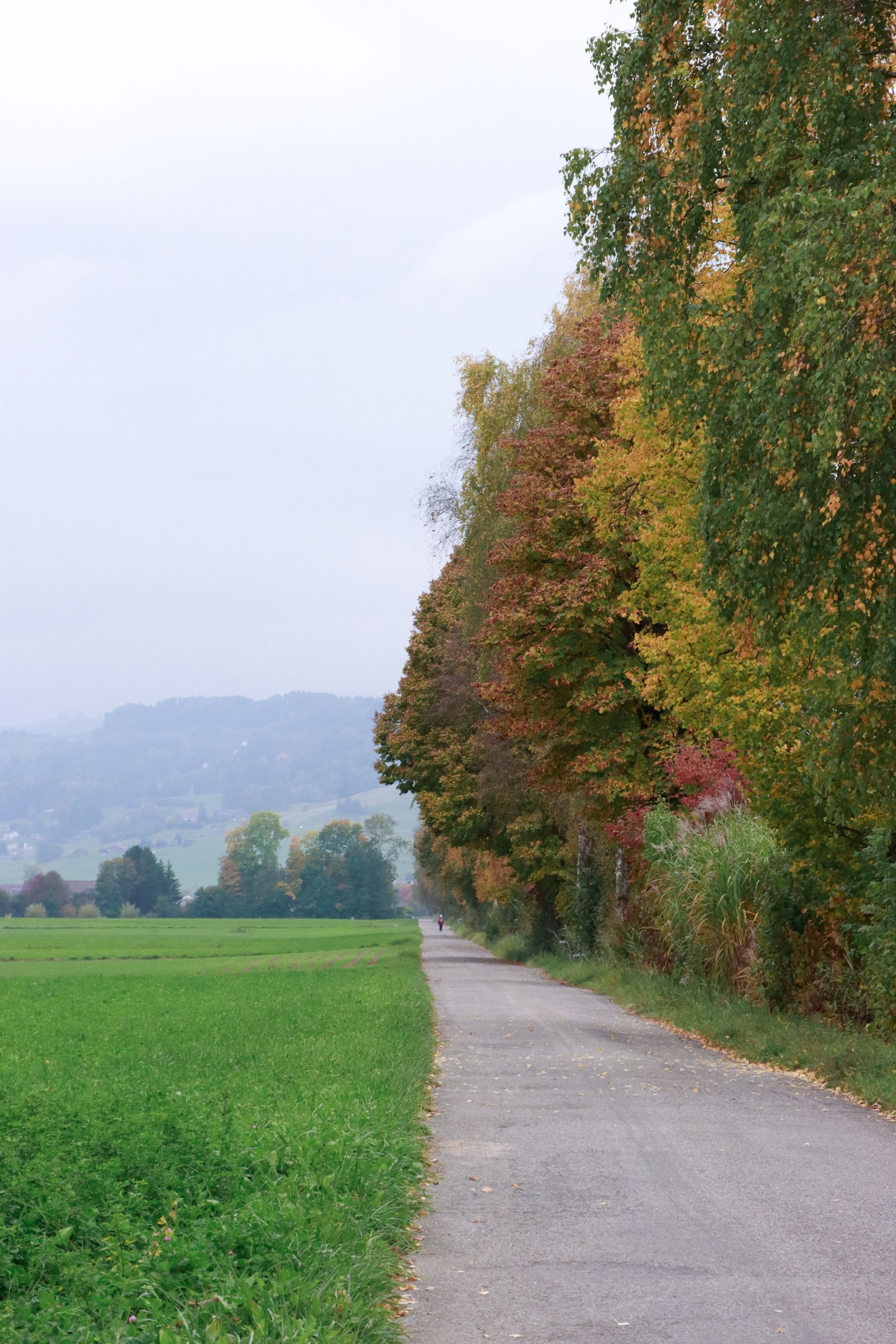 Horizontal Landscape Photos, Download The BEST Free Horizontal ...