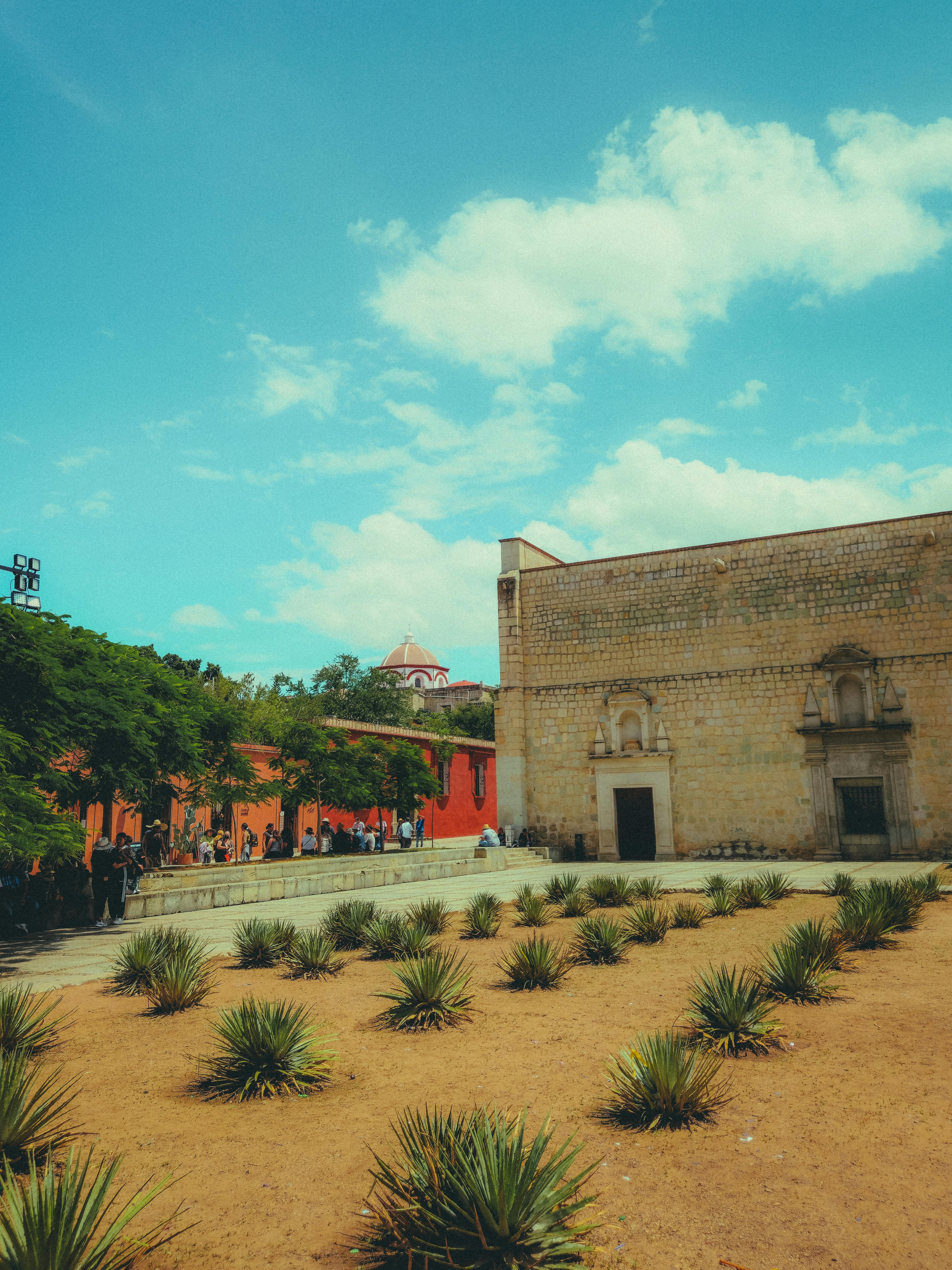 Adobe Photos, Download The BEST Free Adobe Stock Photos & HD Images