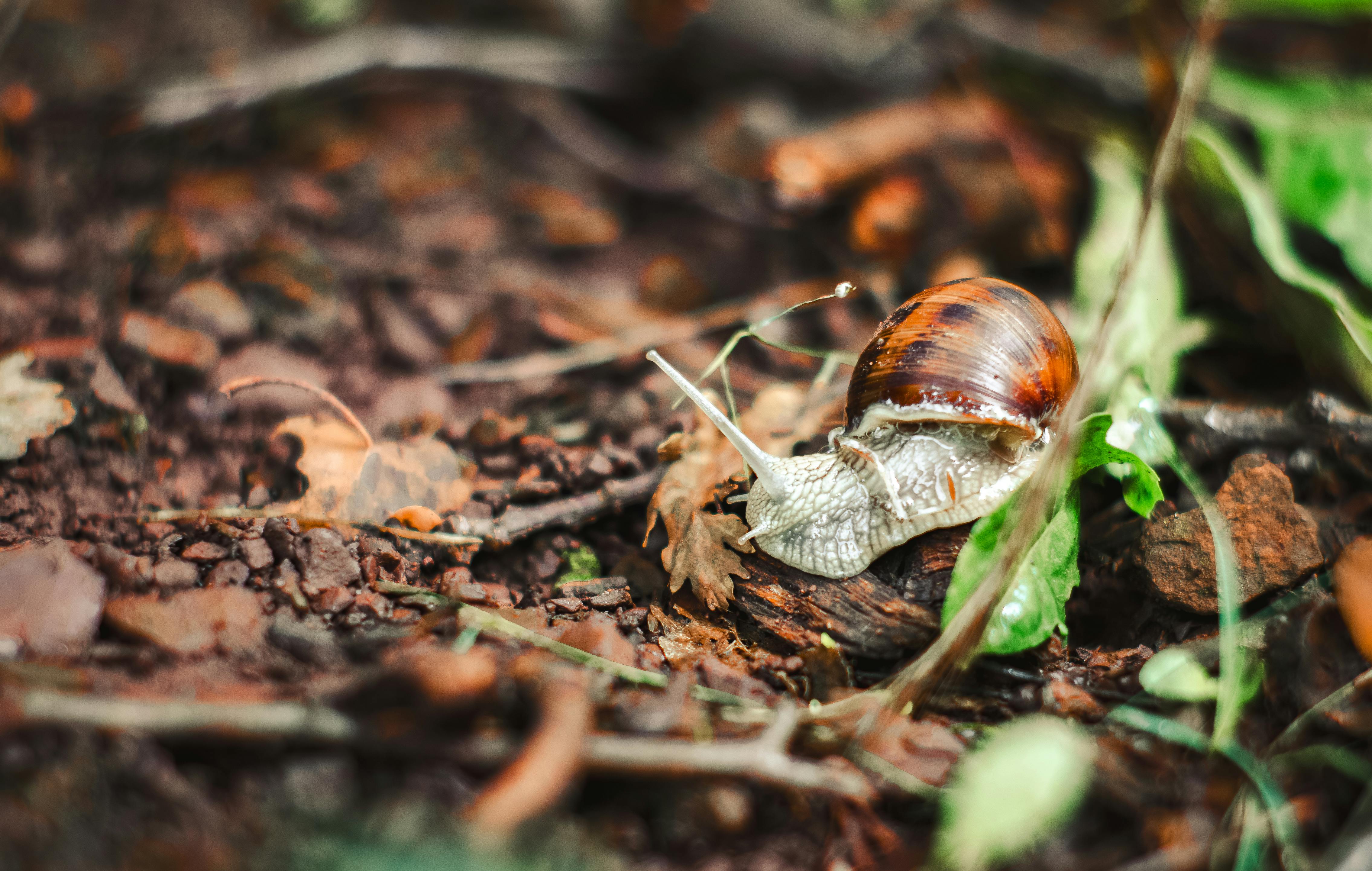 Slow Photos, Download The BEST Free Slow Stock Photos & HD Images