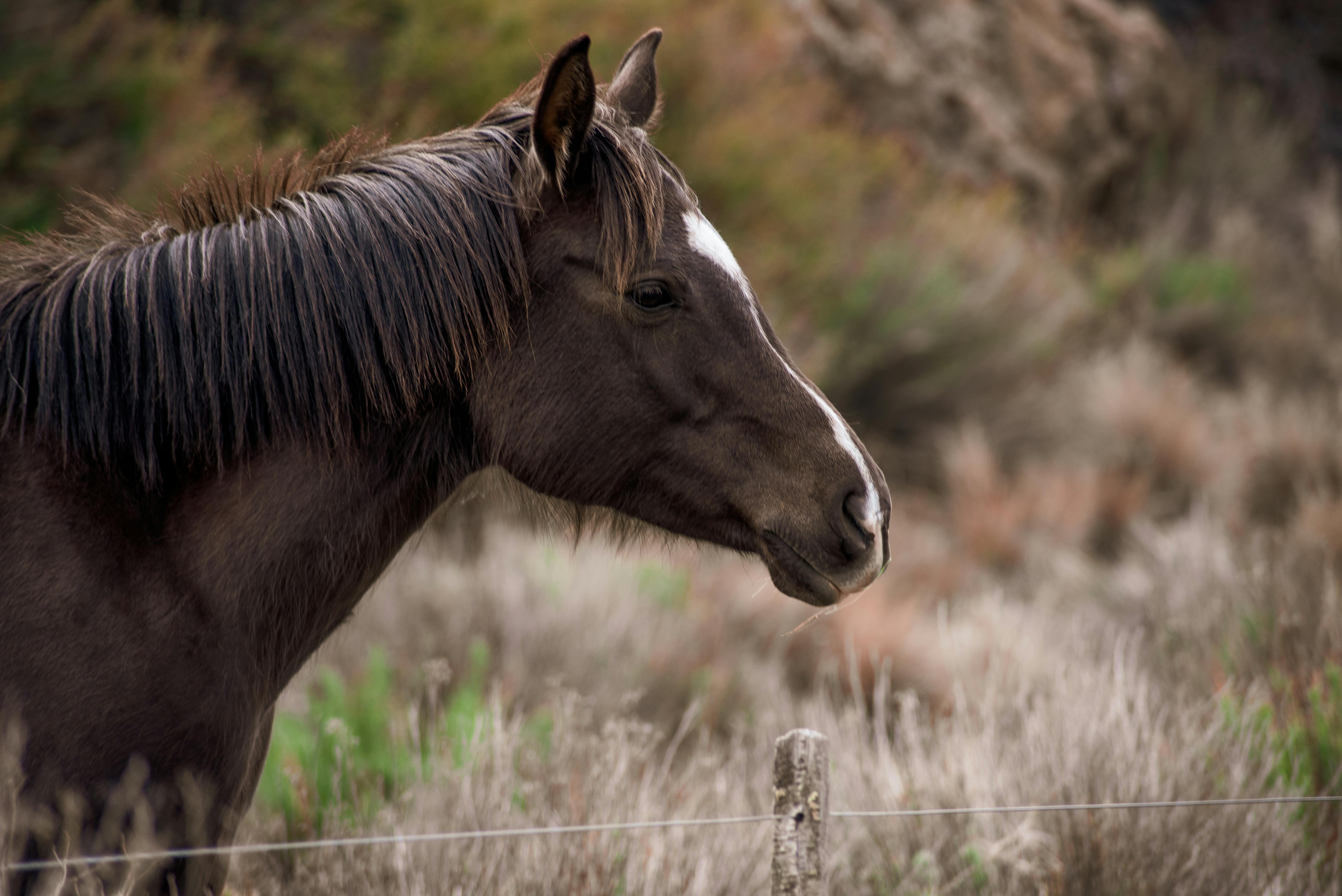 Qizlar+Uchun+Profil+Rasmlar Photos, Download The BEST Free Qizlar+Uchun ...