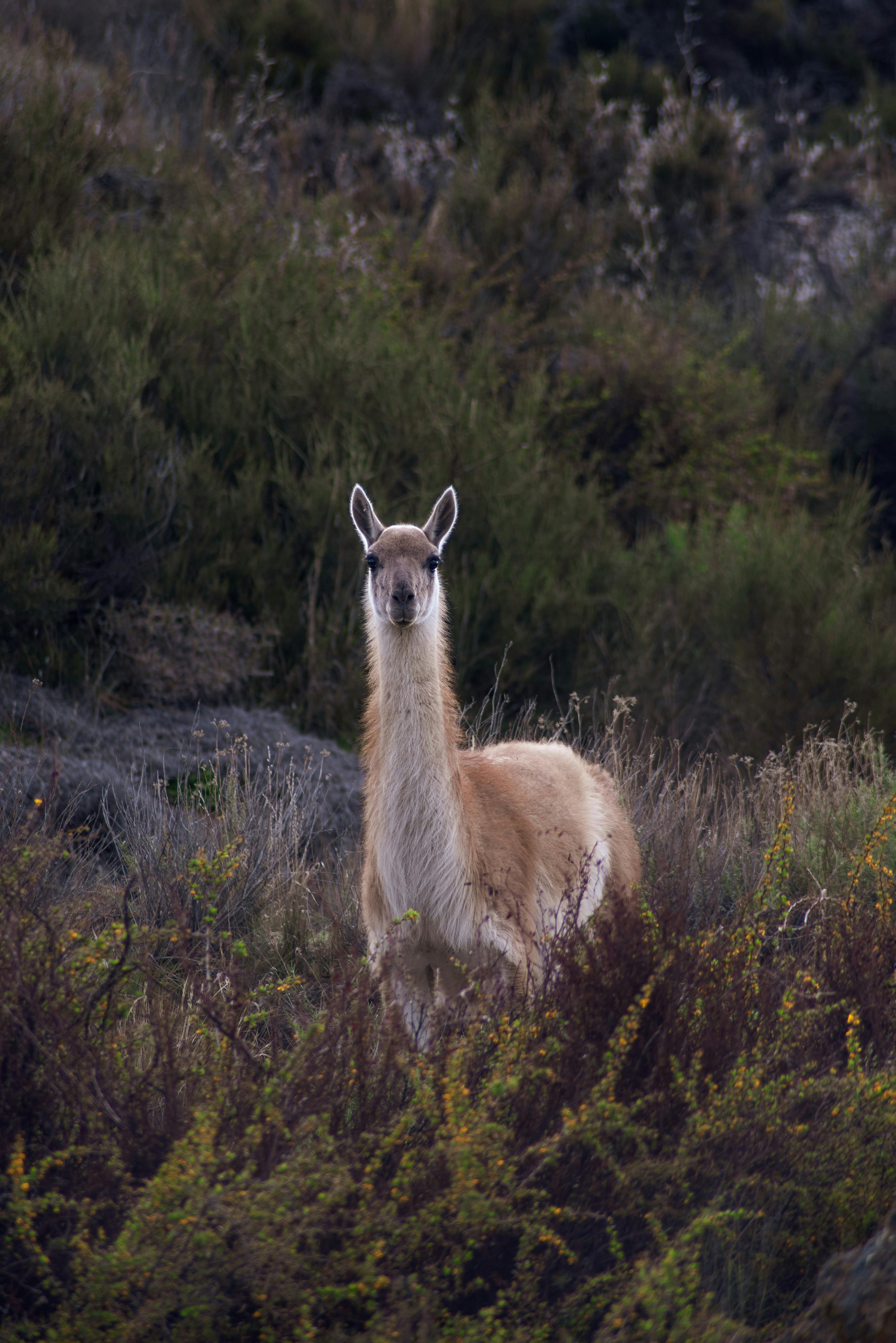 A3 Landscape Photos, Download The BEST Free A3 Landscape Stock Photos ...