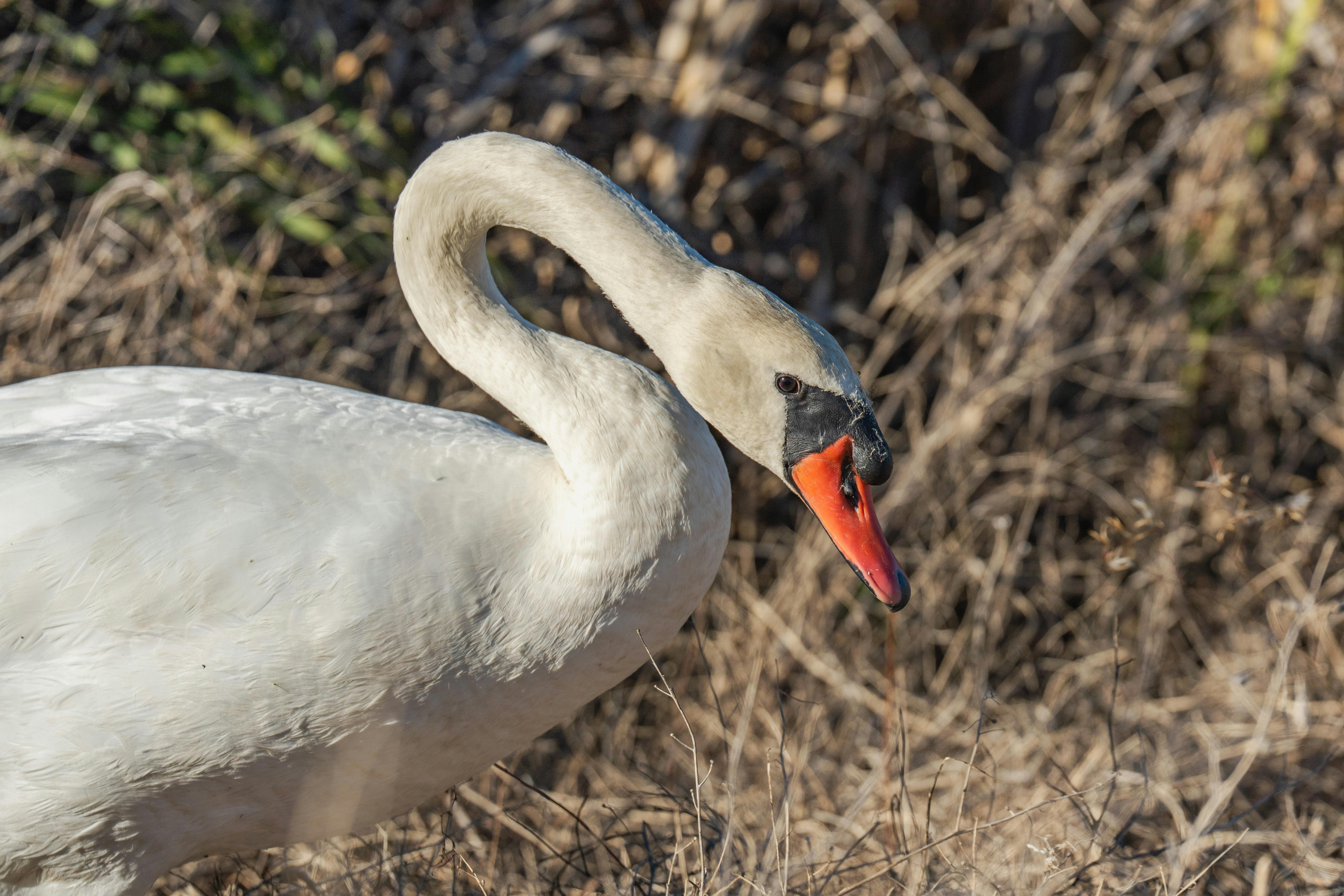 Qizlar+Uchun+Profil+Rasmlar Photos, Download The BEST Free Qizlar+Uchun ...