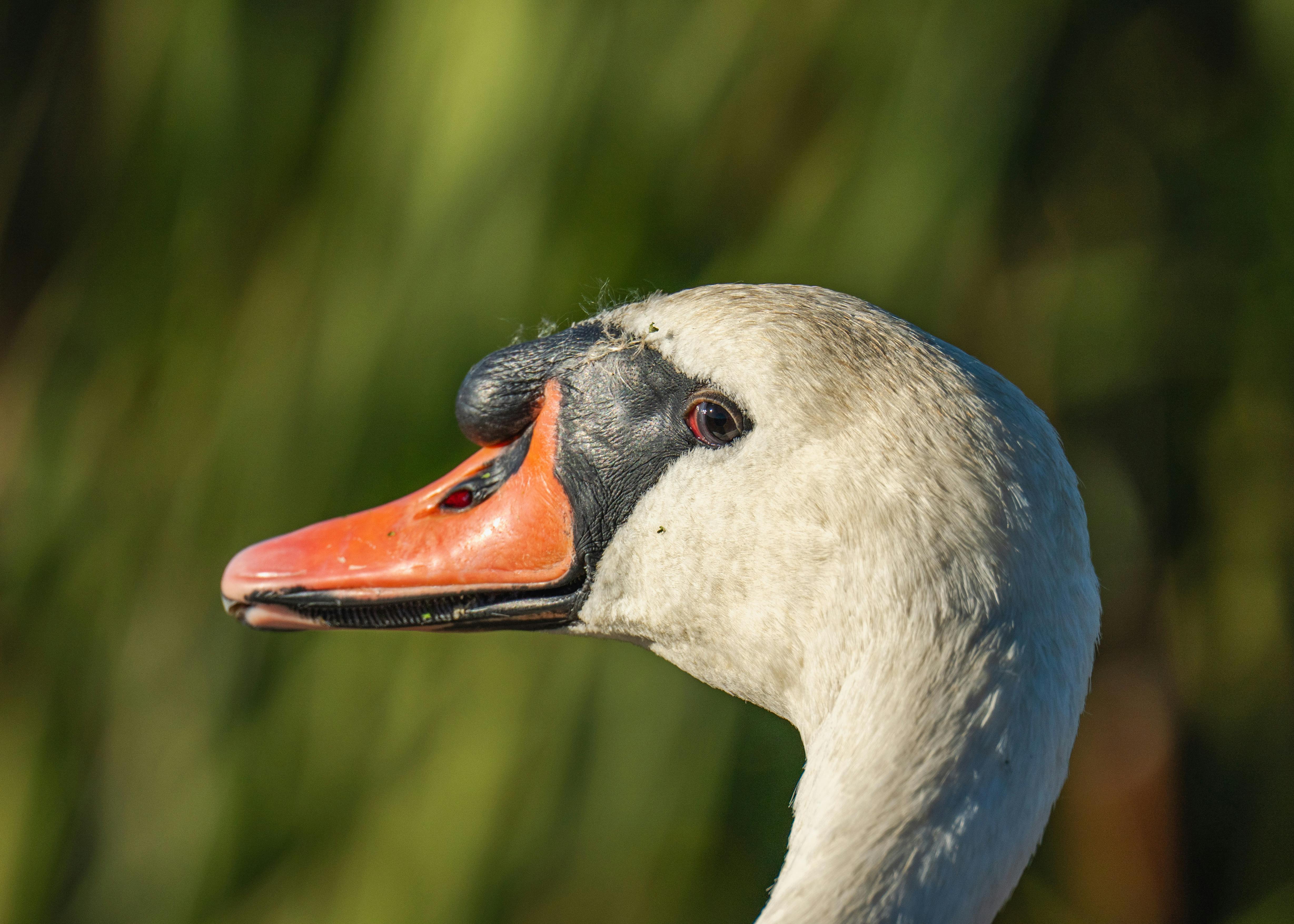 Qizlar+Uchun+Profil+Rasmlar Photos, Download The BEST Free Qizlar+Uchun ...