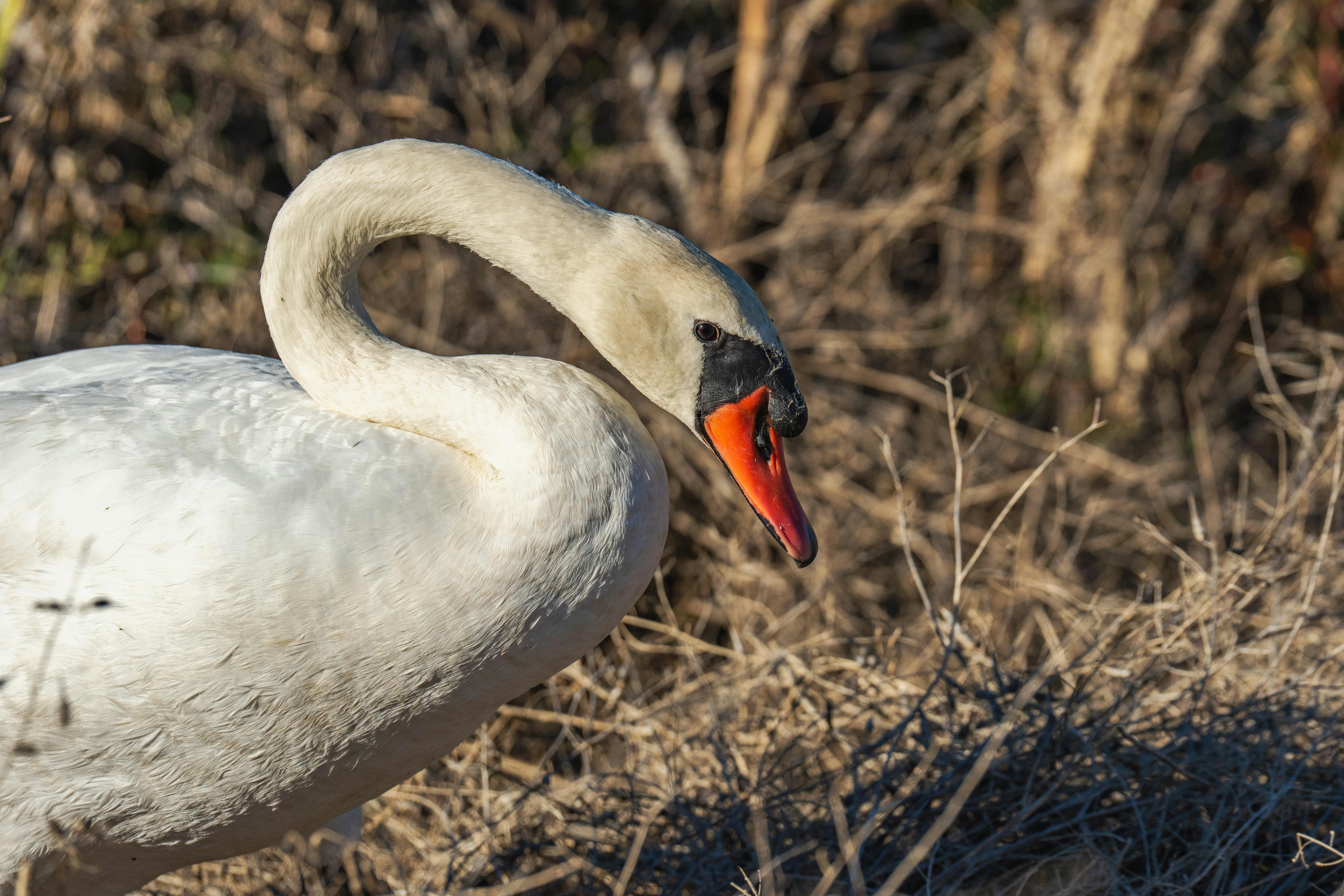 Qizlar+Uchun+Profil+Rasmlar Photos, Download The BEST Free Qizlar+Uchun ...