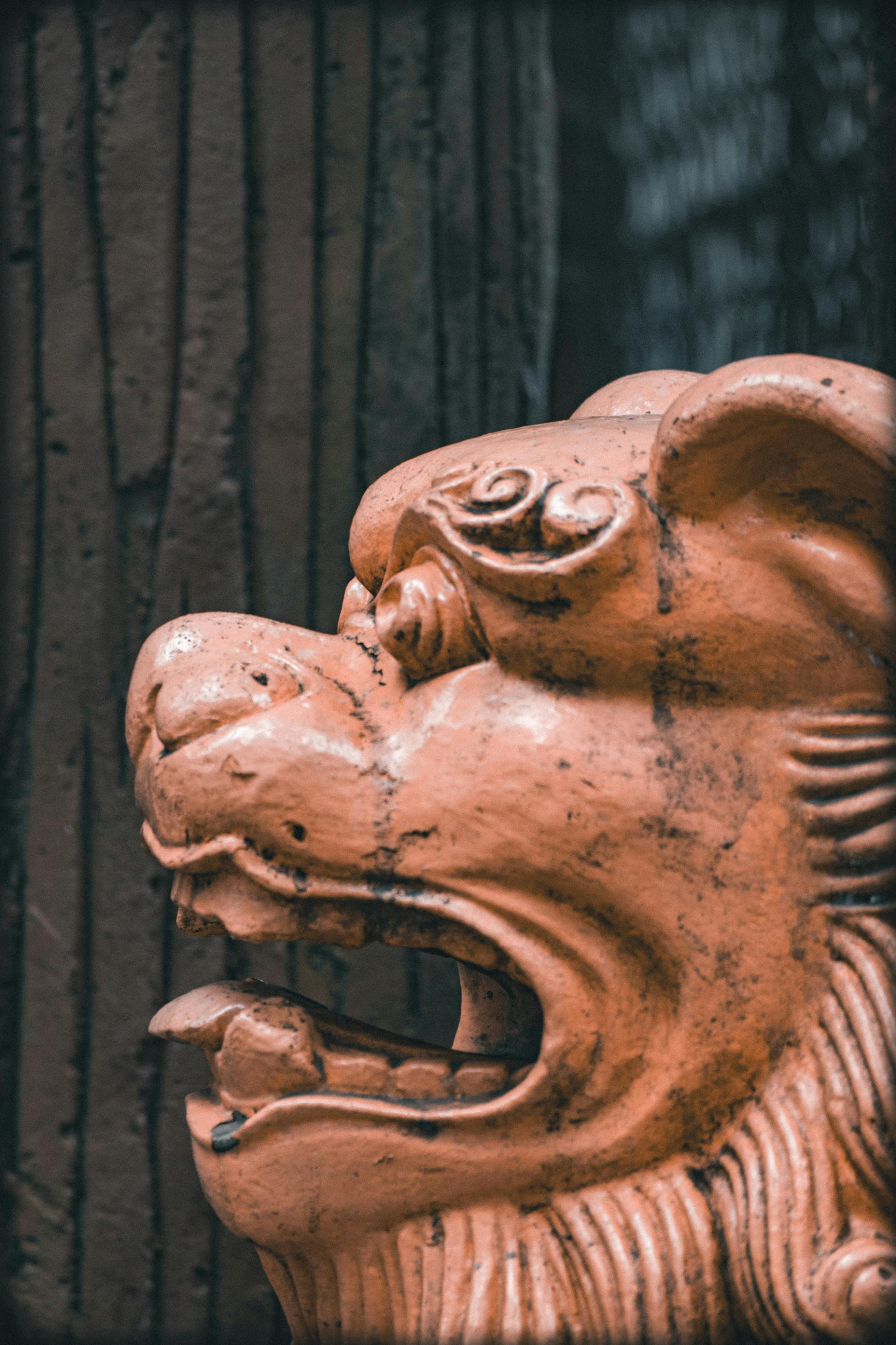 Qizlar+Uchun+Profil+Rasmlar Photos, Download The BEST Free Qizlar+Uchun ...