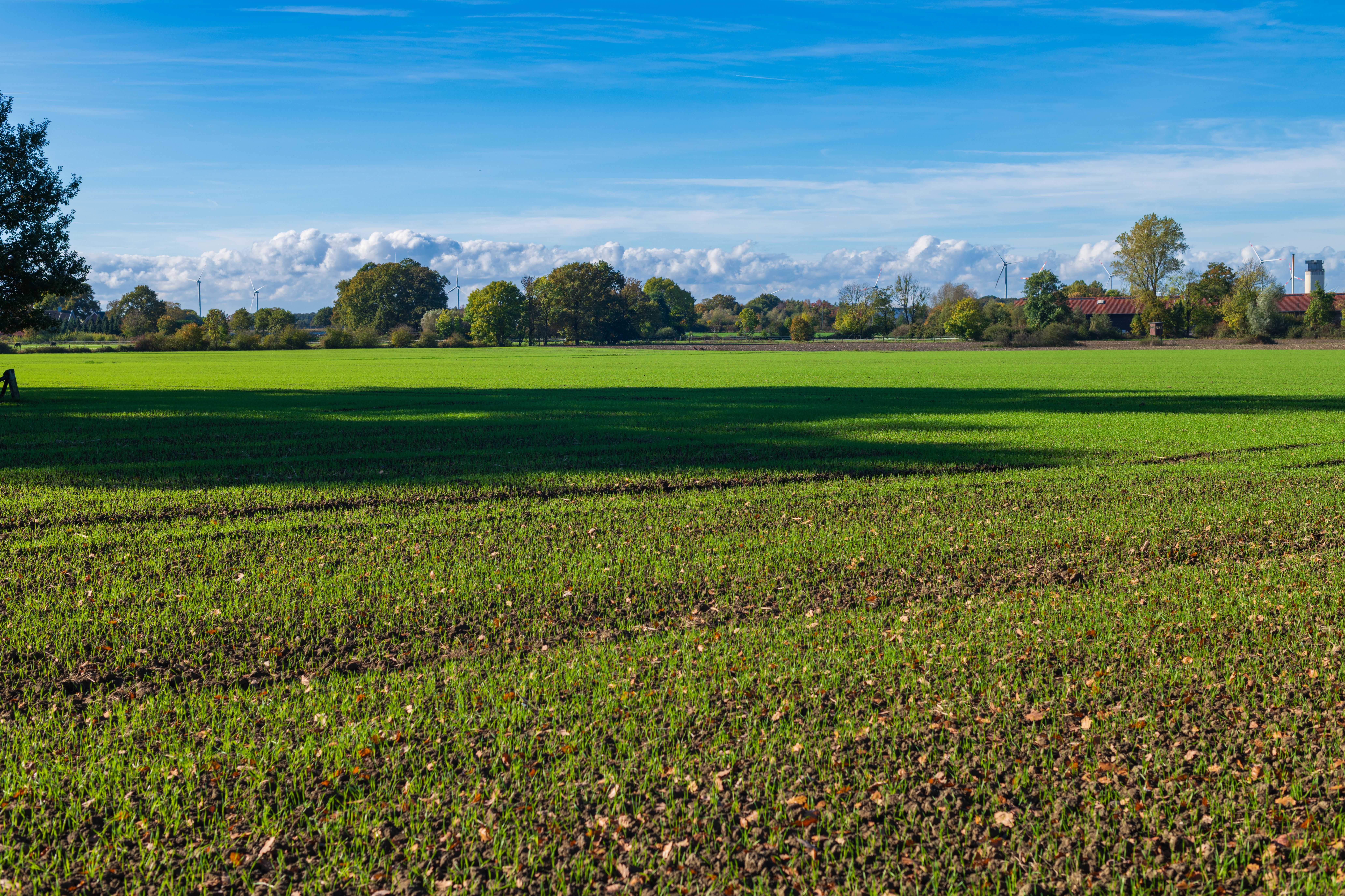 Vacant Land Photos, Download The BEST Free Vacant Land Stock Photos ...