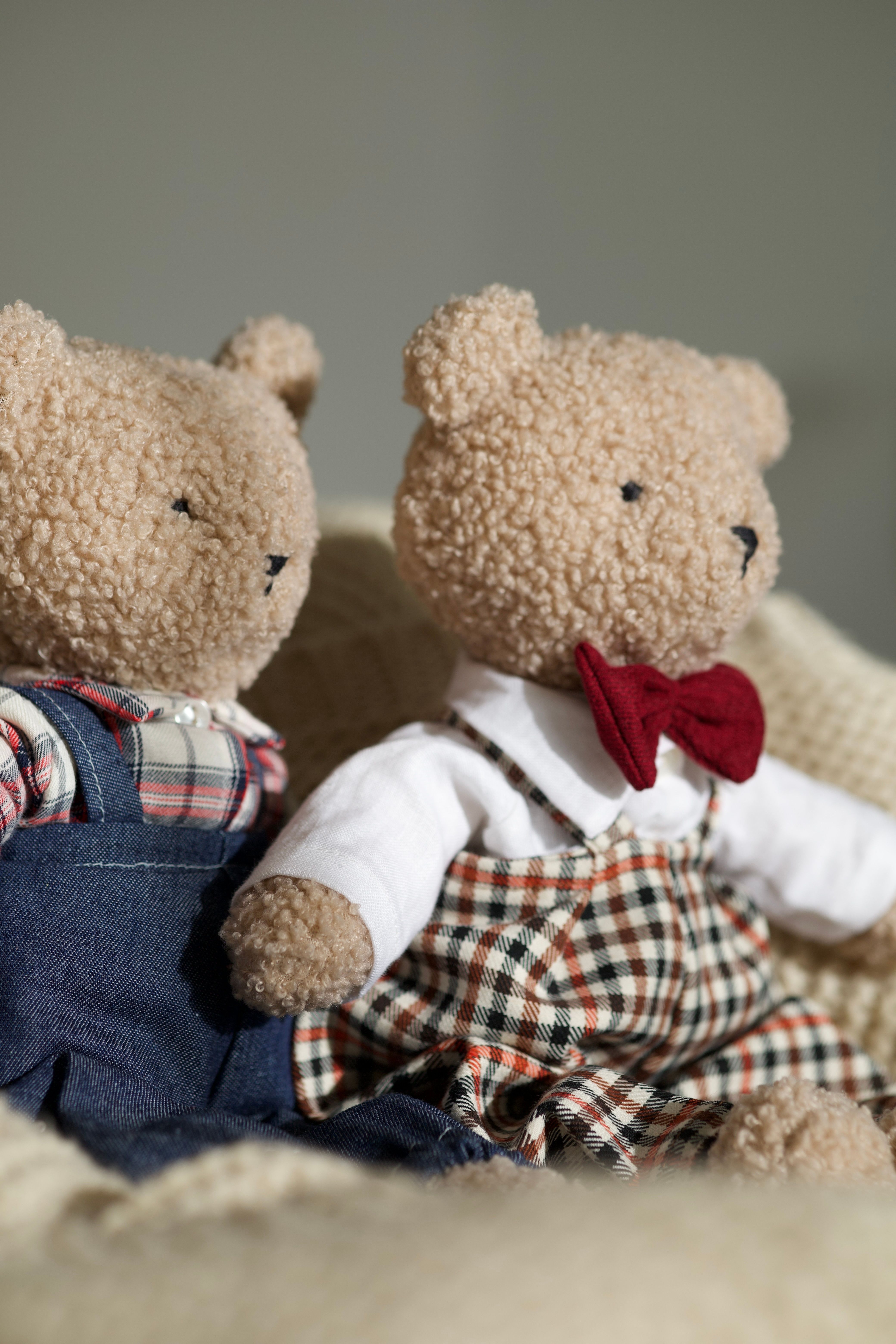 Cute Teddy Bears in Plaid Outfits on Blanket · Free Stock Photo