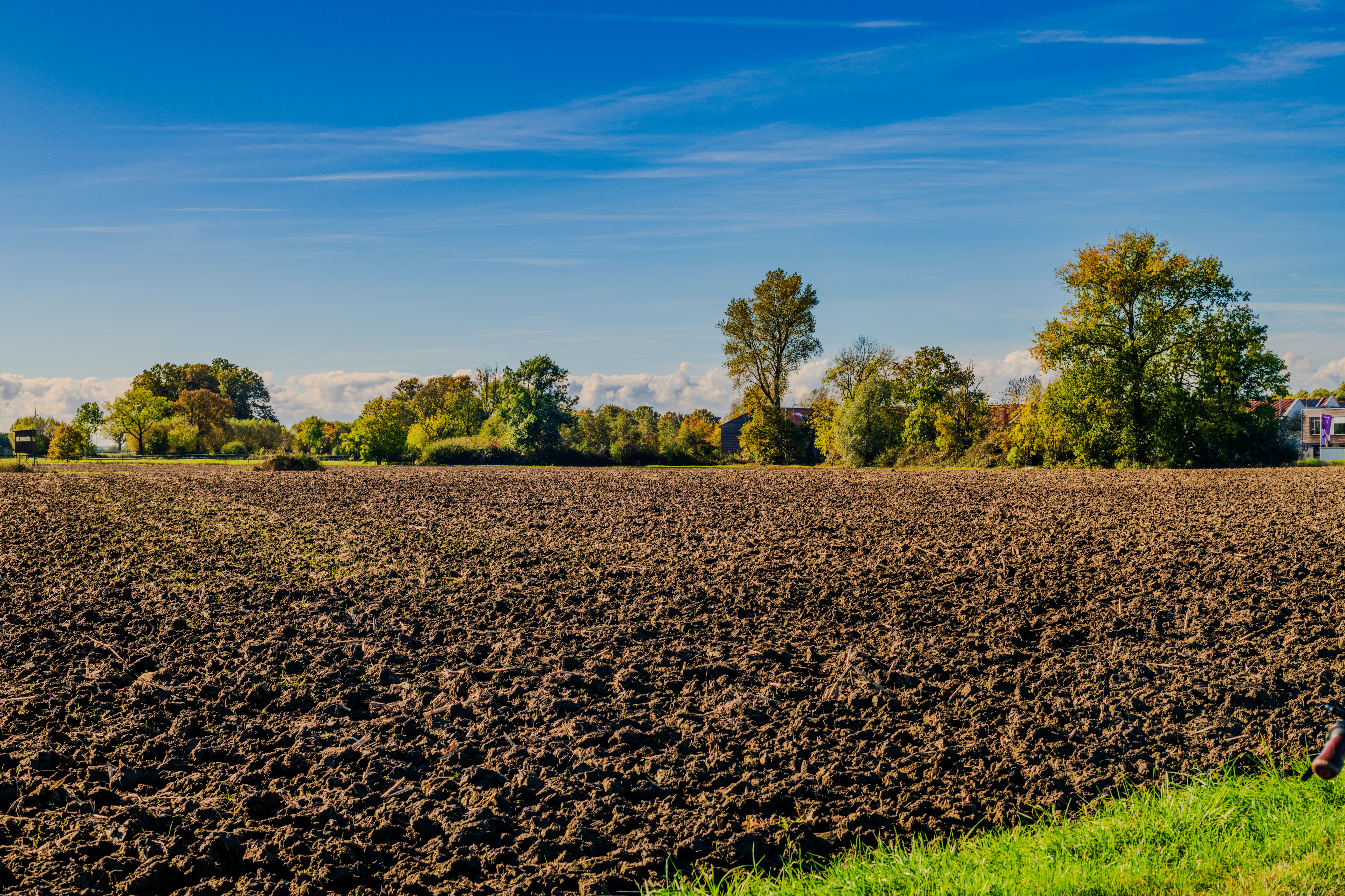 Bck Ground Photos, Download The BEST Free Bck Ground Stock Photos & HD ...