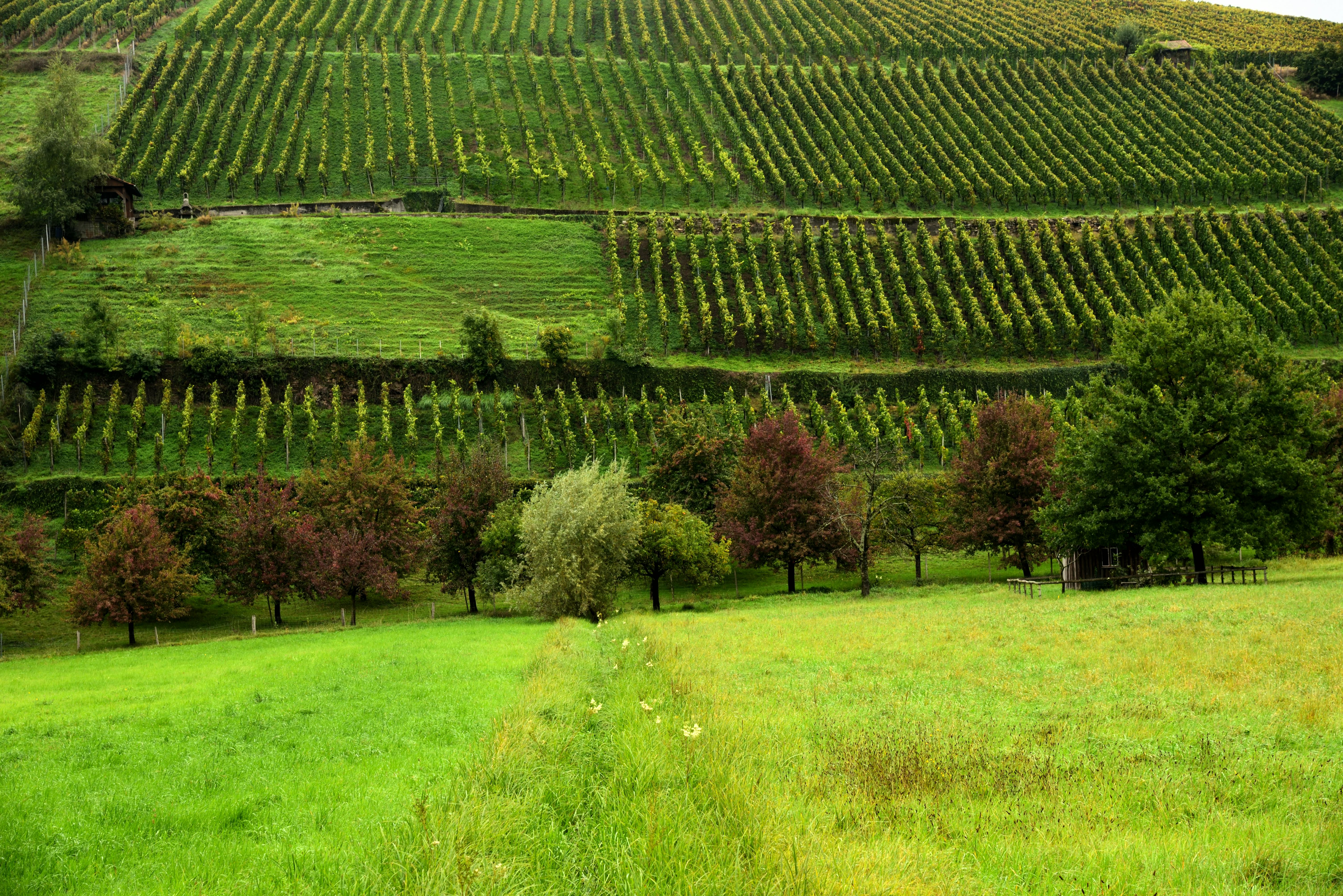 Artificial+Spiral+Hill+In+Sydney+Olympic+Park,+Australia Photos ...