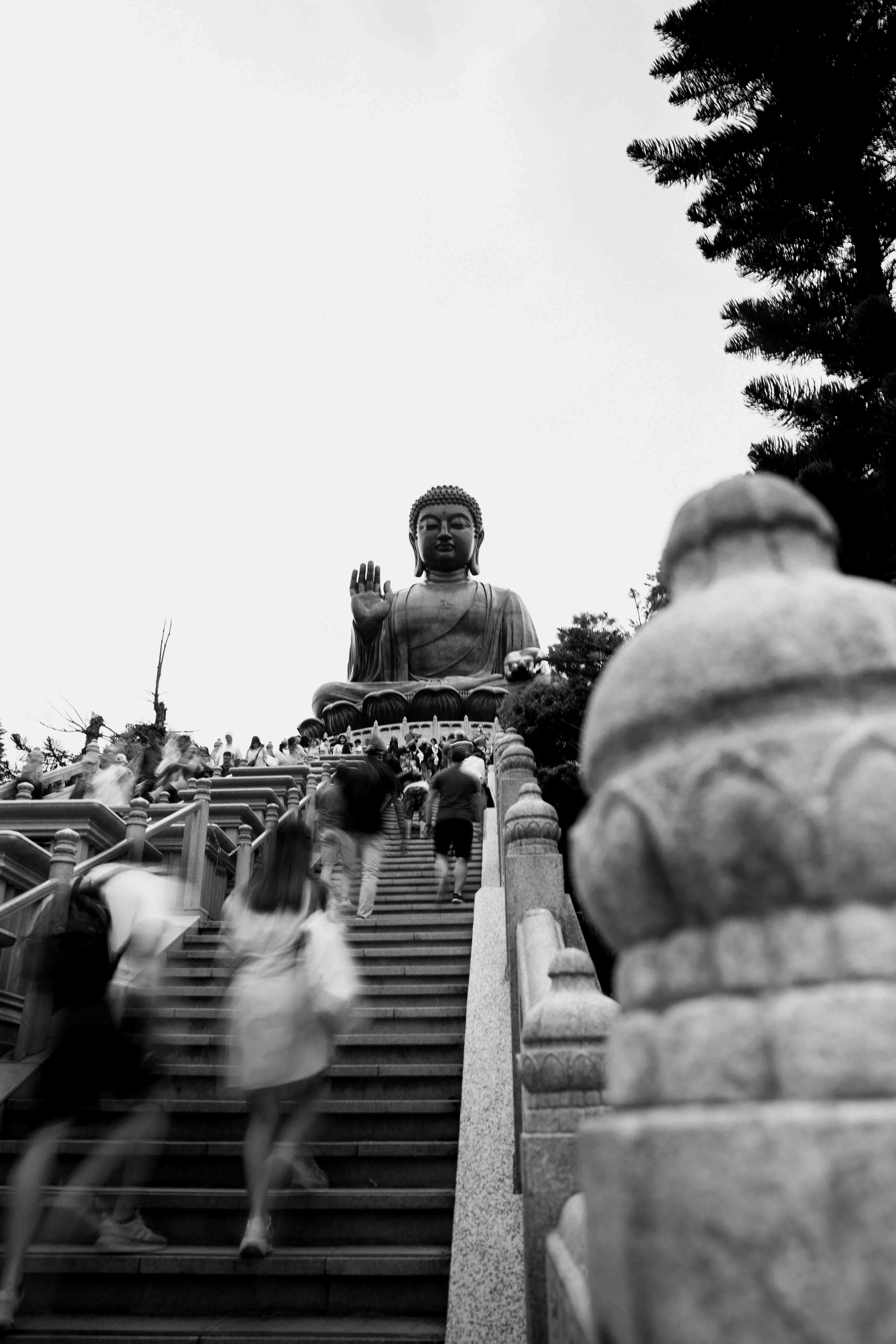 Big+Black+Men+Balls Photos, Download The BEST Free Big+Black+Men+Balls ...