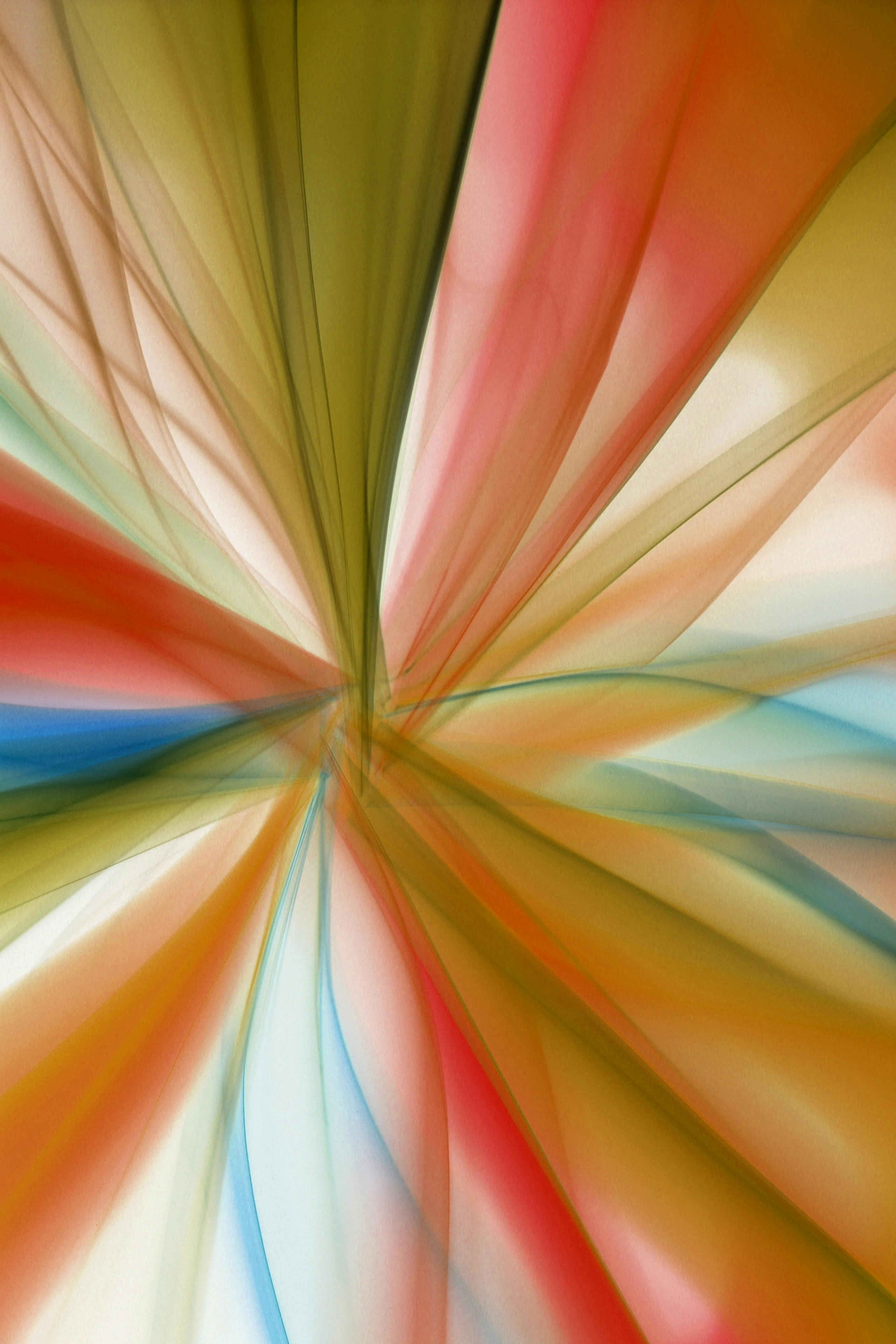 Muted Background Photos, Download The BEST Free Muted Background Stock ...